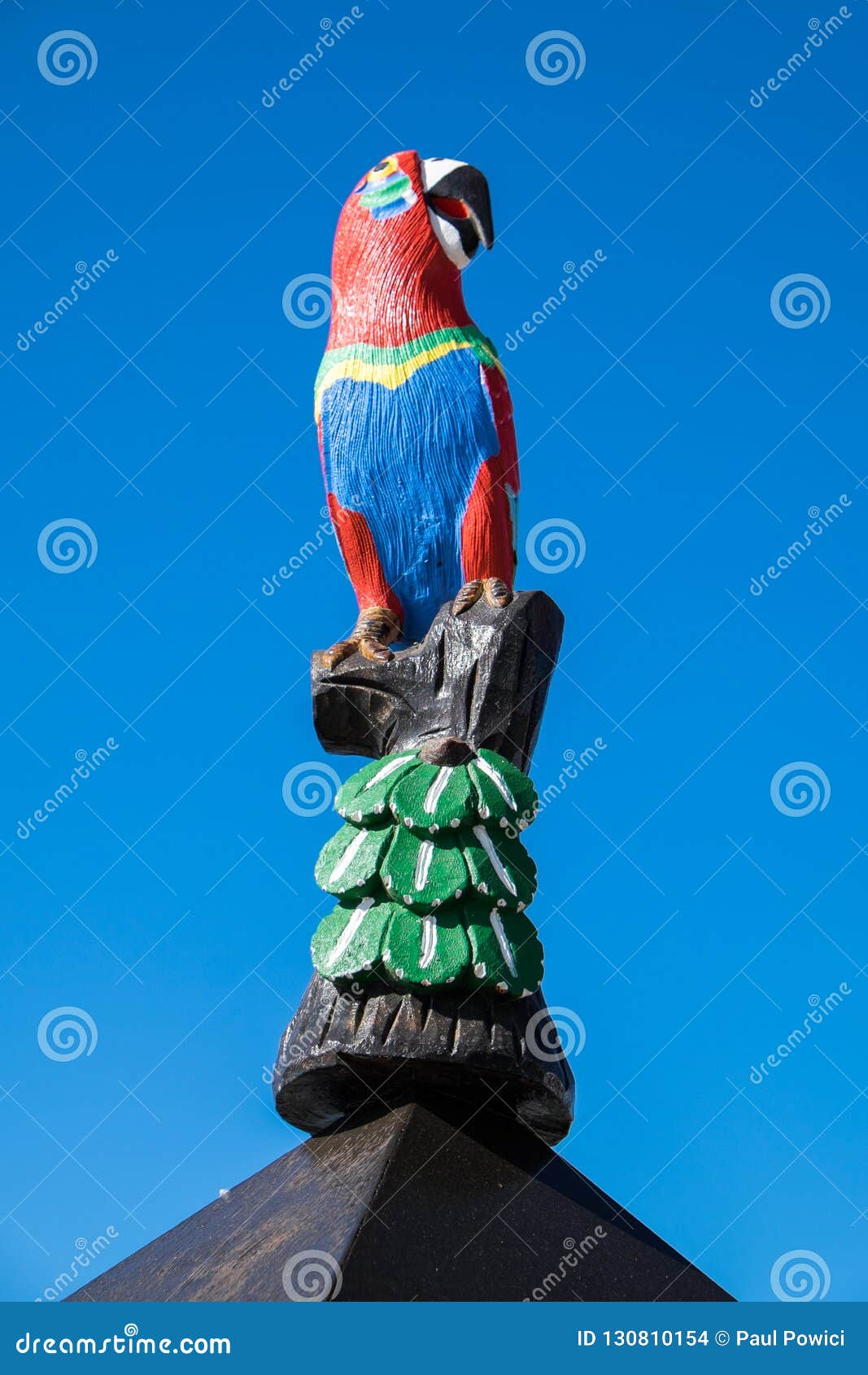 Carving of a parrot stock photo. Image of parrot, exterior - 130810154