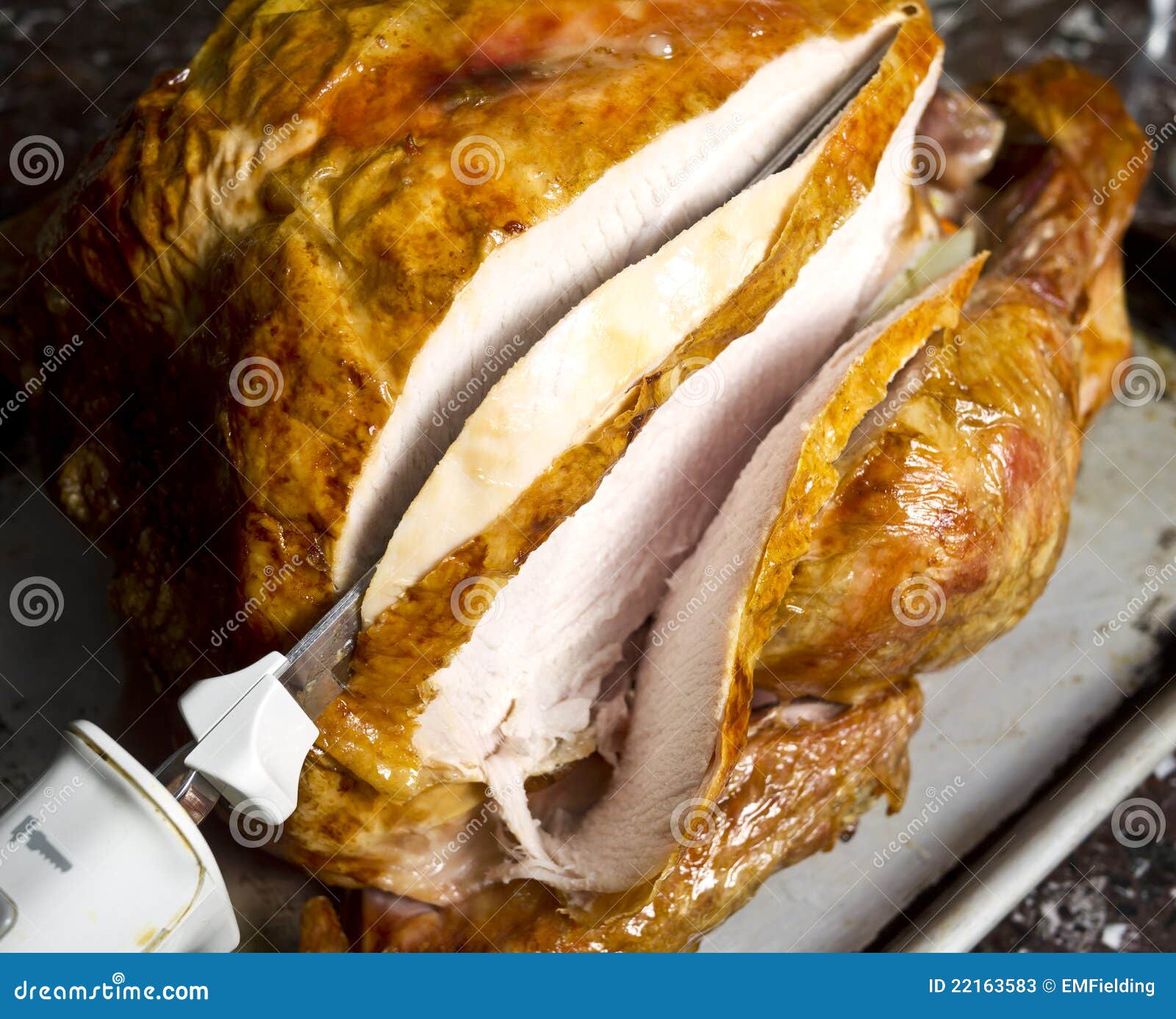 Carving the Thanksgiving Turkey Stock Image - Image of bird, meal: 22163583