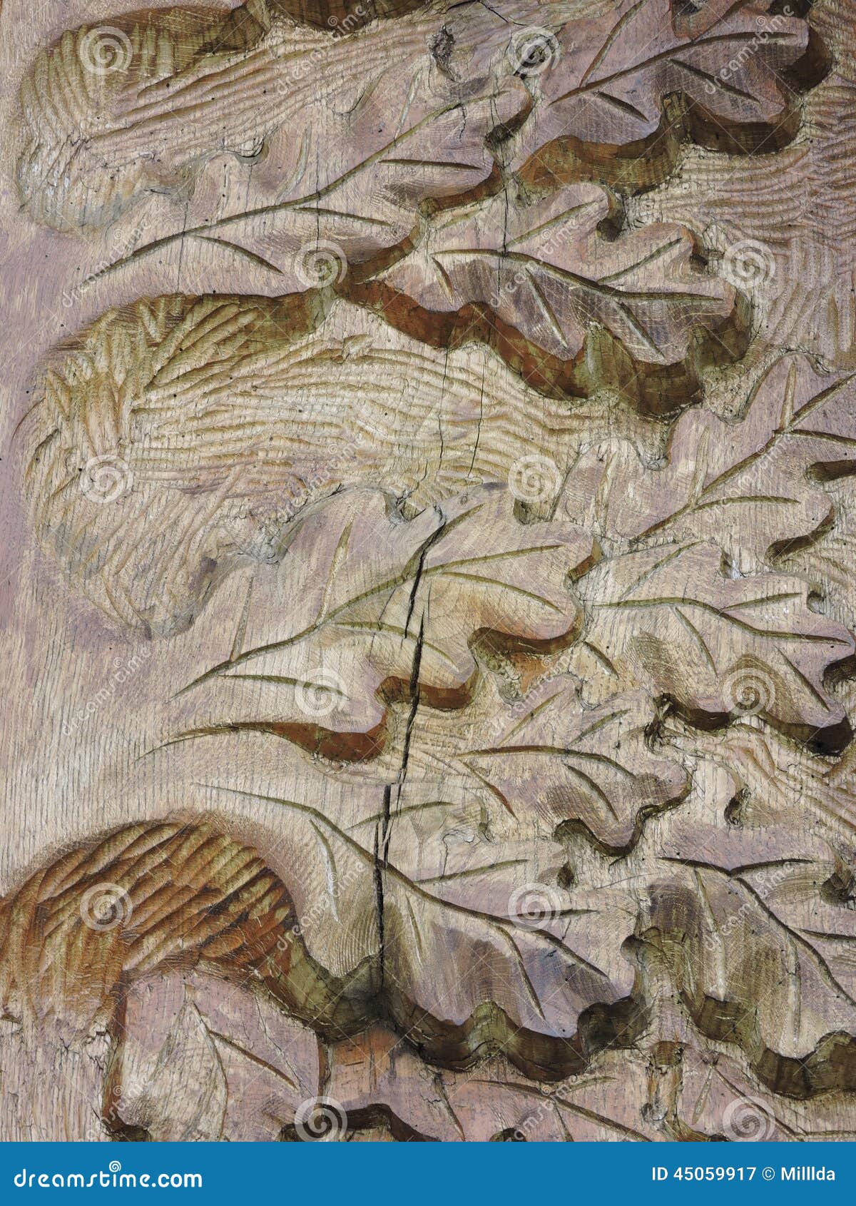 Carving wood, oak leaves stock image. Image of wood, cutting - 45059917