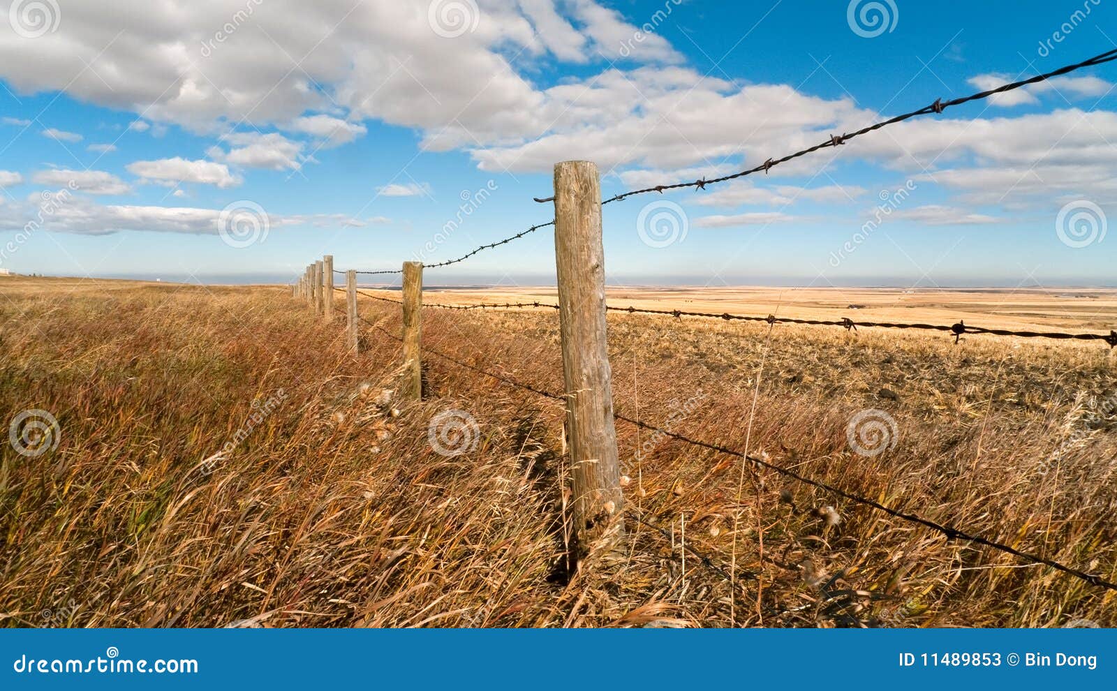 Carway Alberta stock image. Image of extreme, montana - 11489853