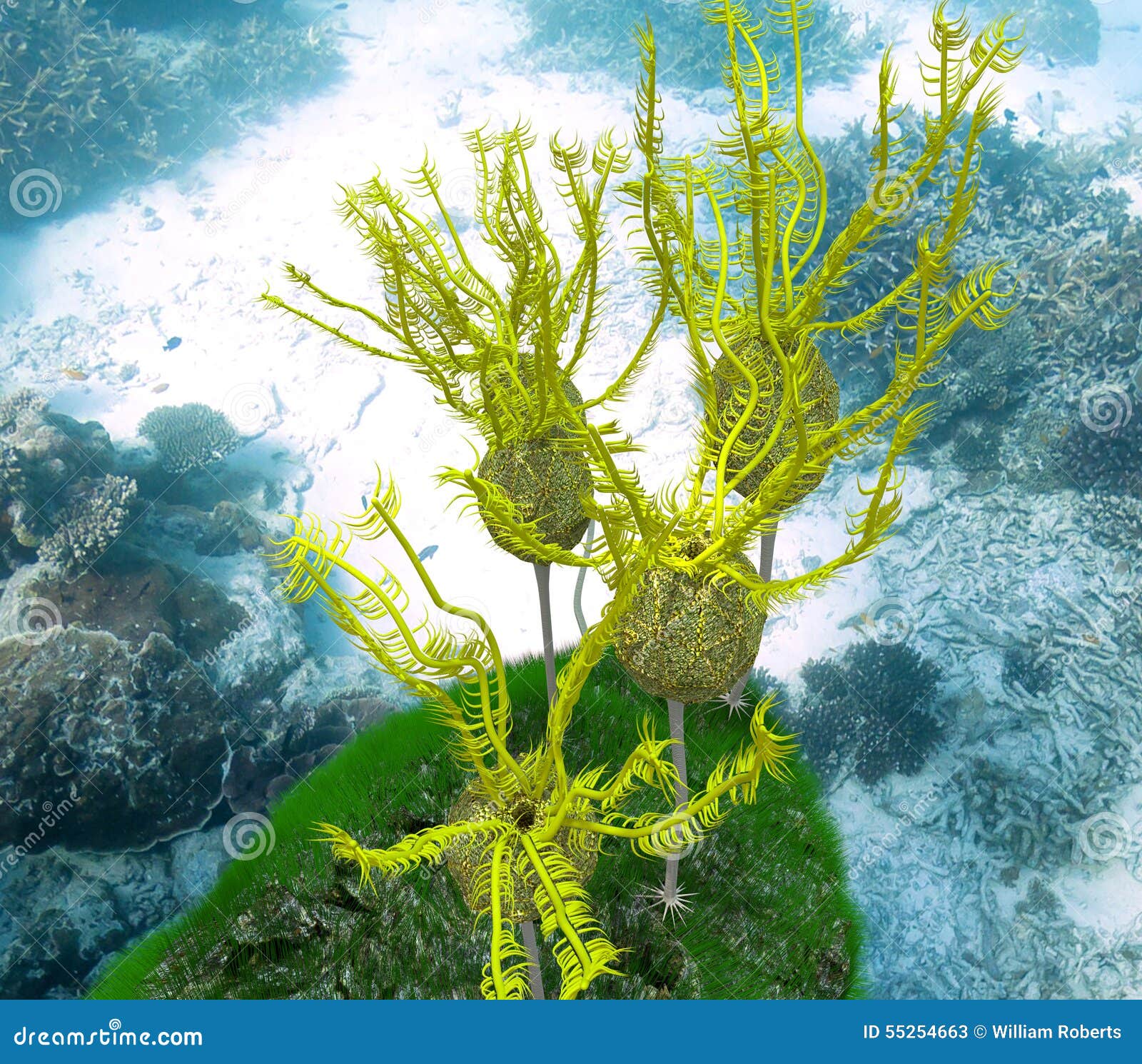 Benthos Cartoons, Illustrations & Vector Stock Images - 22 Pictures to ...