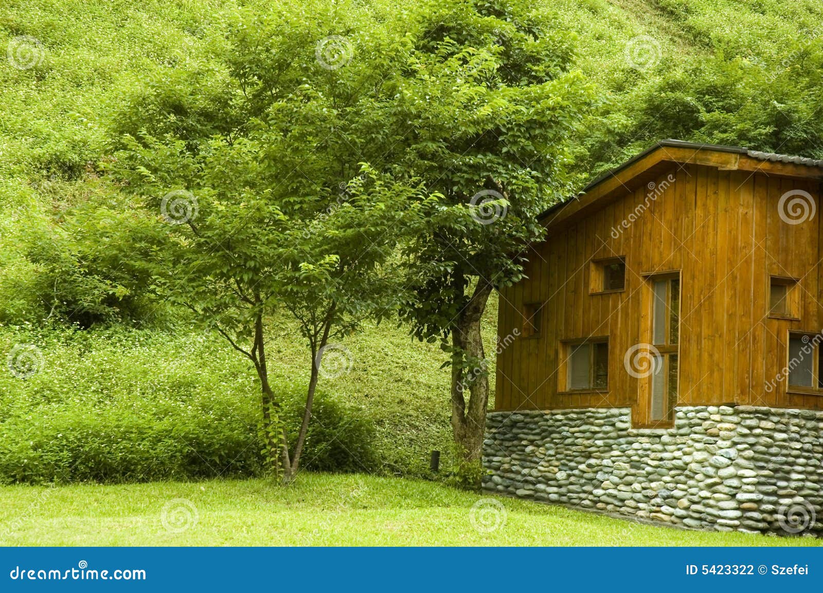 Casa de la aldea foto de archivo. Imagen de formado, hierba - 5423322
