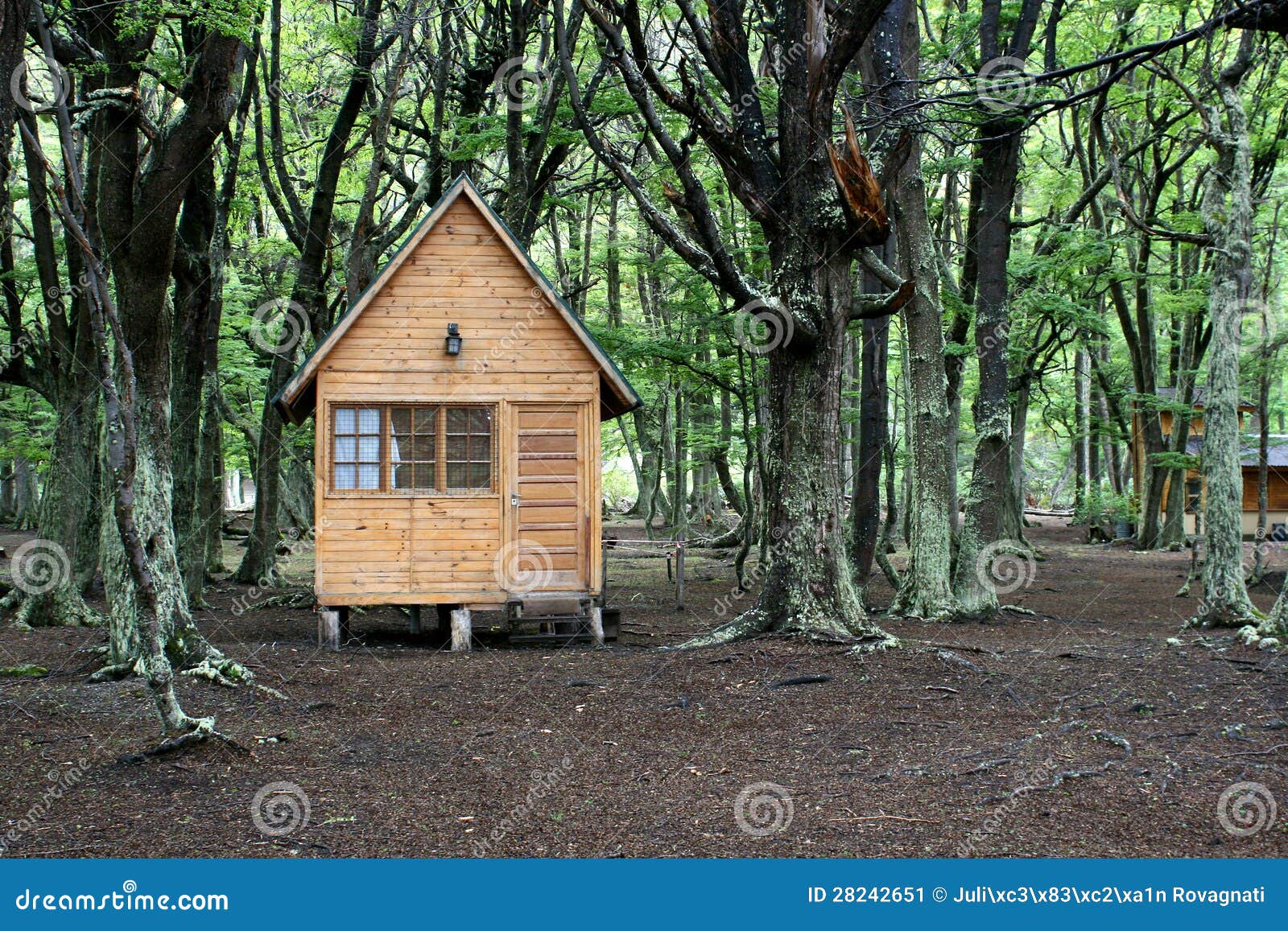Casa De Madera En El Bosque. Imagen de archivo - Imagen de turismo ...