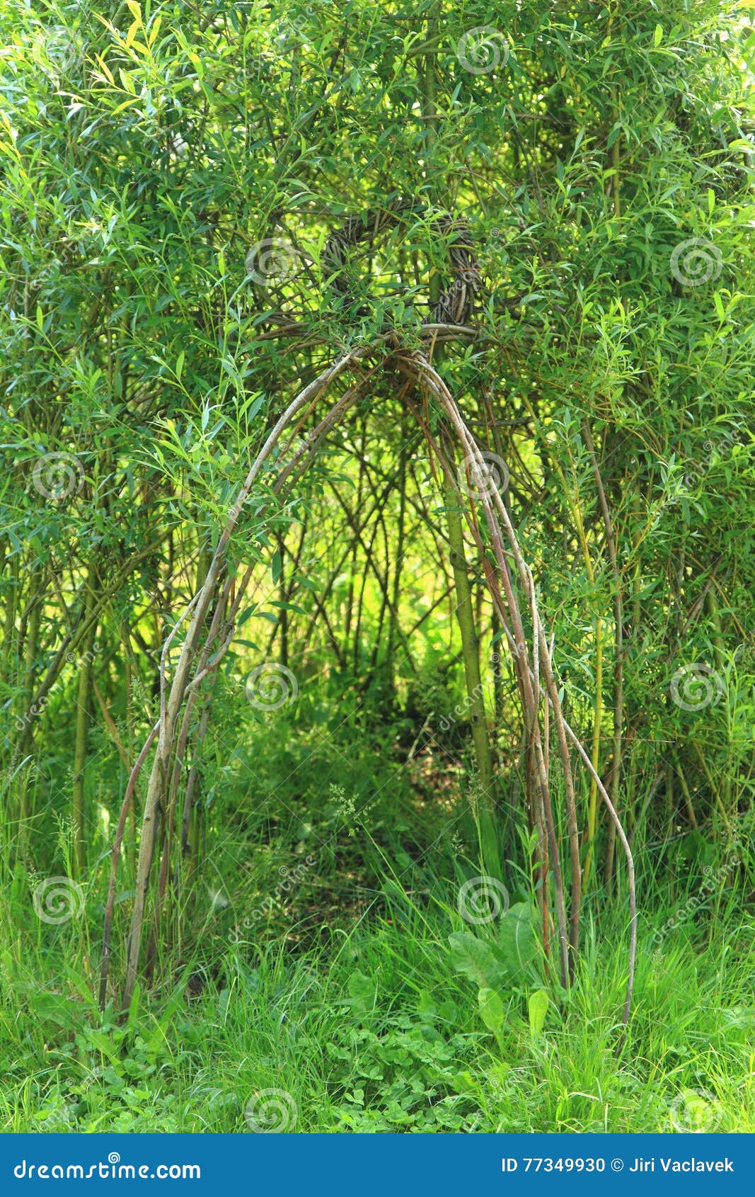 Casa De Vime Das Plantas Verdes Foto de Stock - Imagem de batana ...