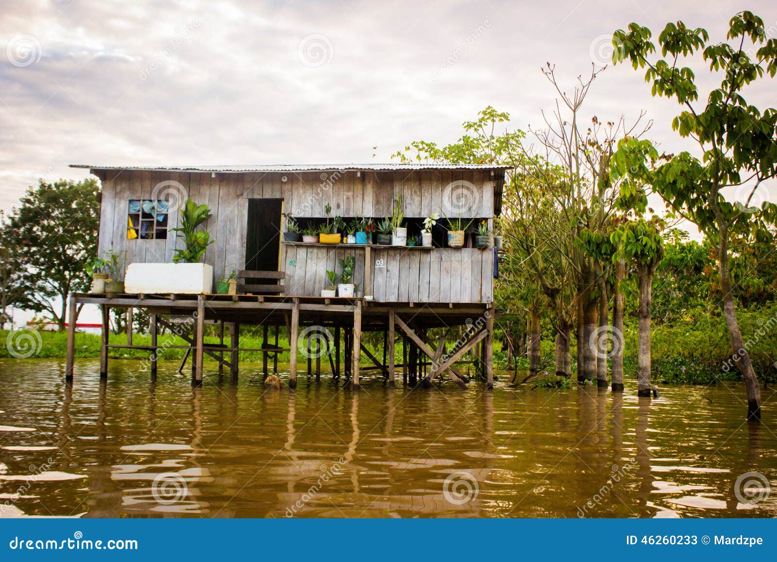 Casa en el río Amazonas imagen de archivo. Imagen de madera - 46260233