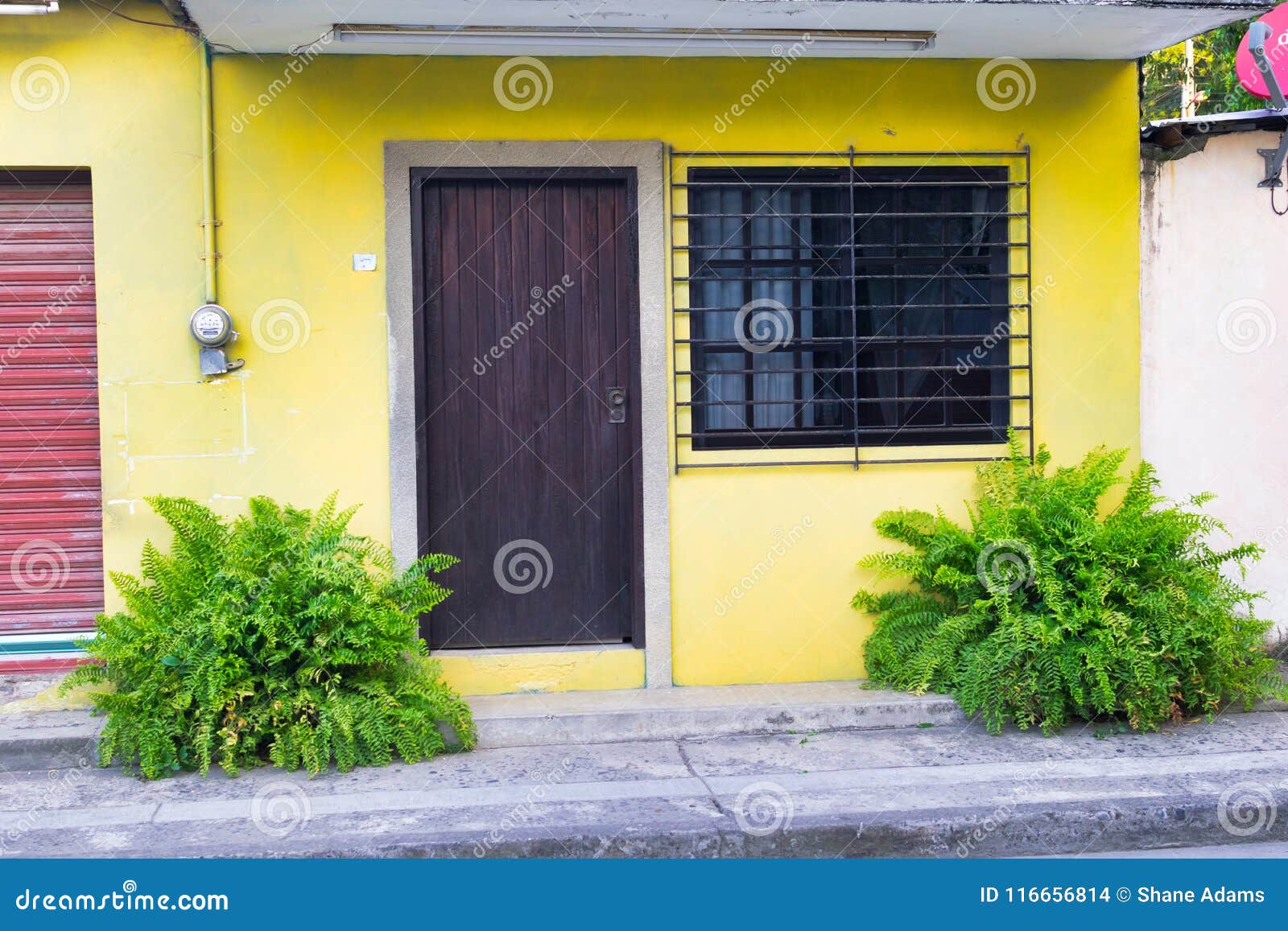 imágenes comunes del Casa Mexicana - los derechos de la transferencia ...