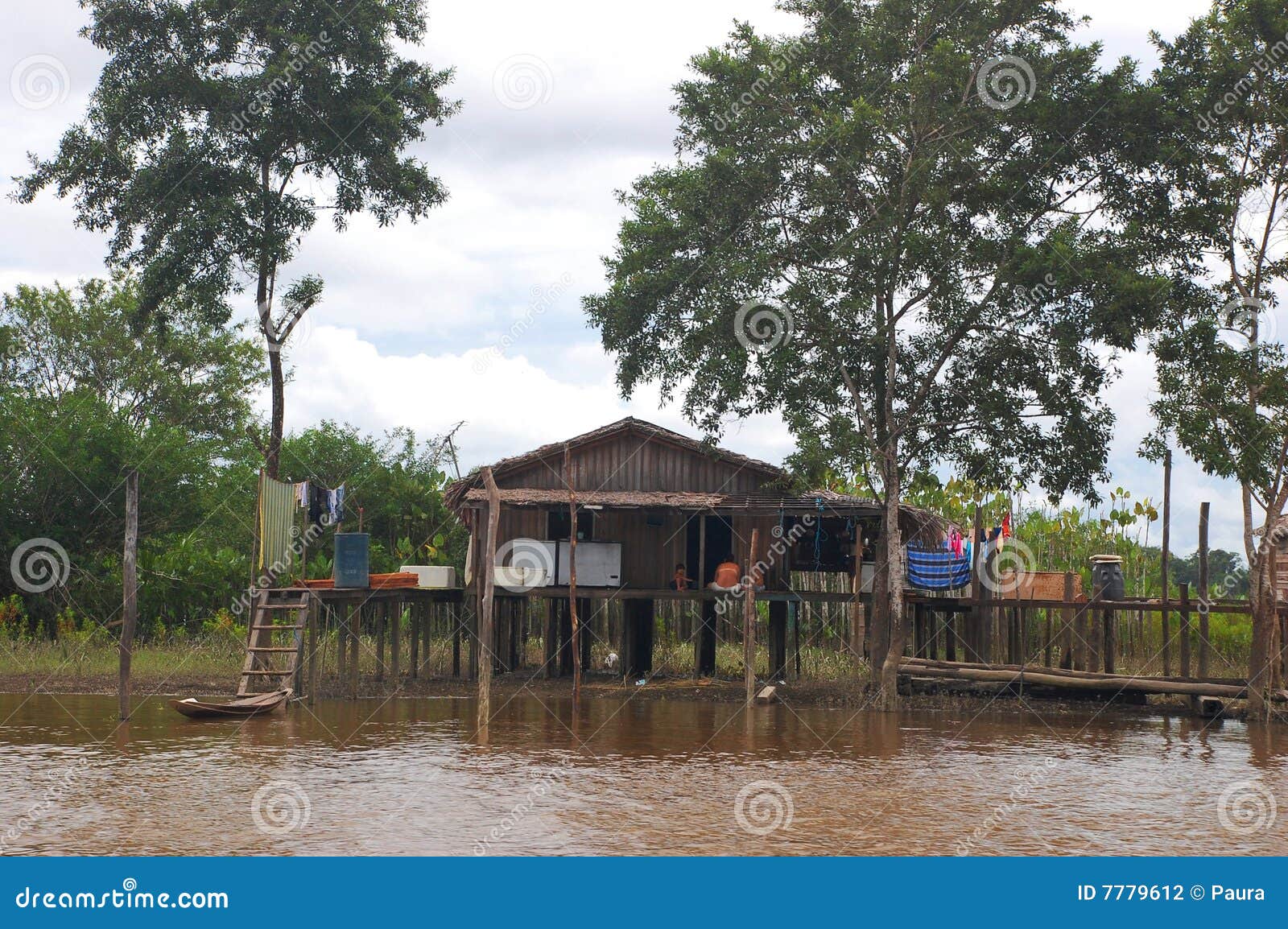 Casa tipica del Amazon fotografia stock. Immagine di vivere - 7779612