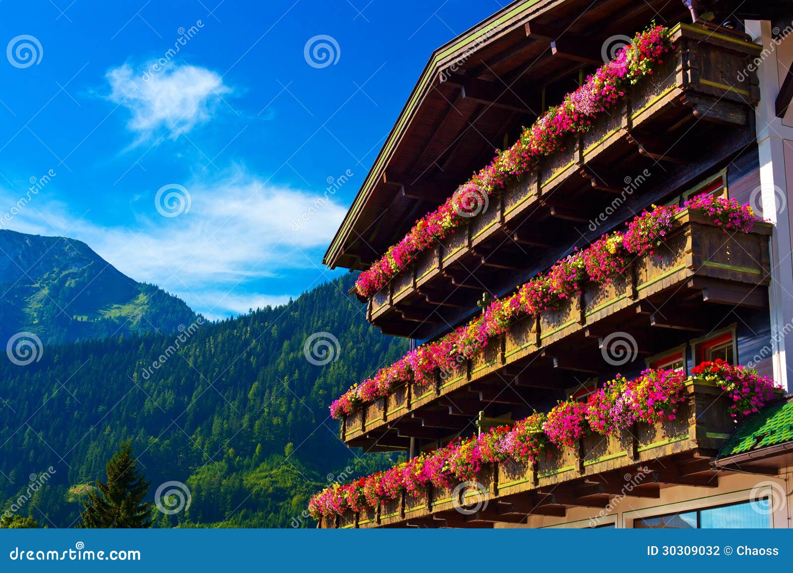 Casa Tradizionale Delle Alpi Fotografia Stock - Immagine di costruzione ...