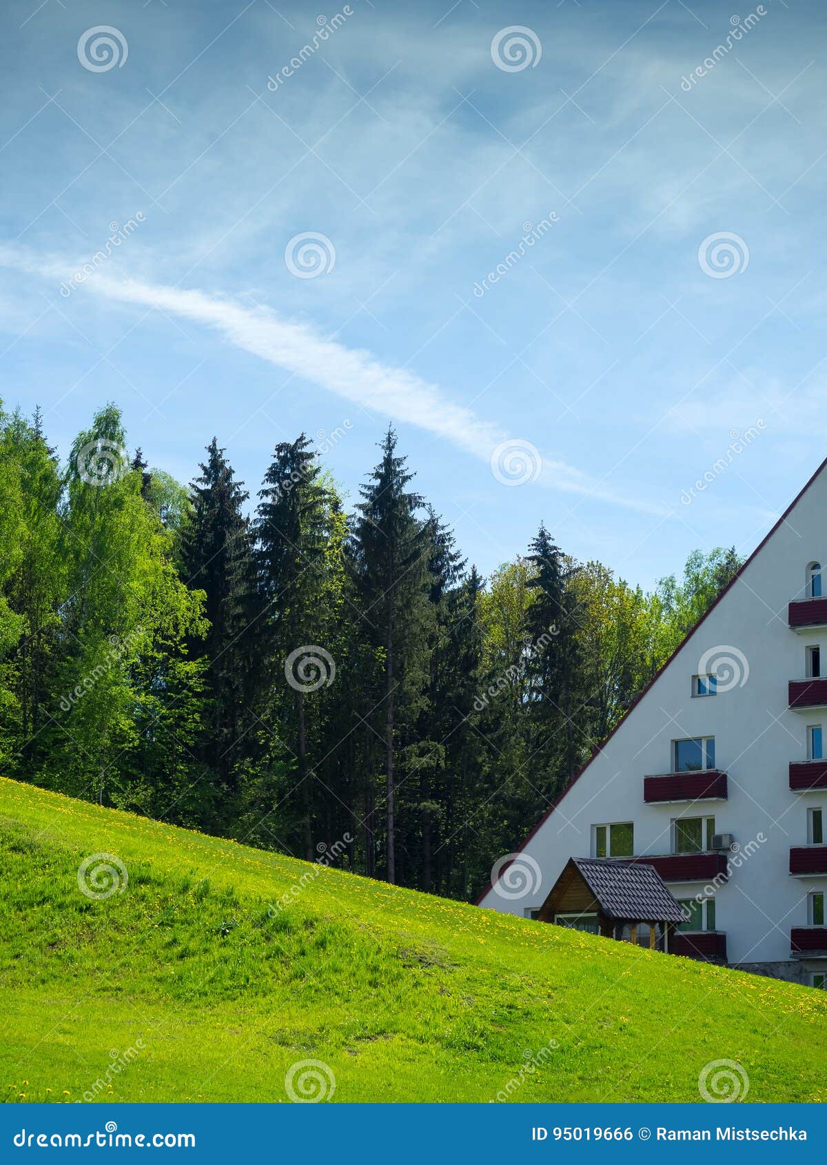 Casa Triangular Luxuosa Nas Madeiras Jogo Das Formas Foto de Stock ...