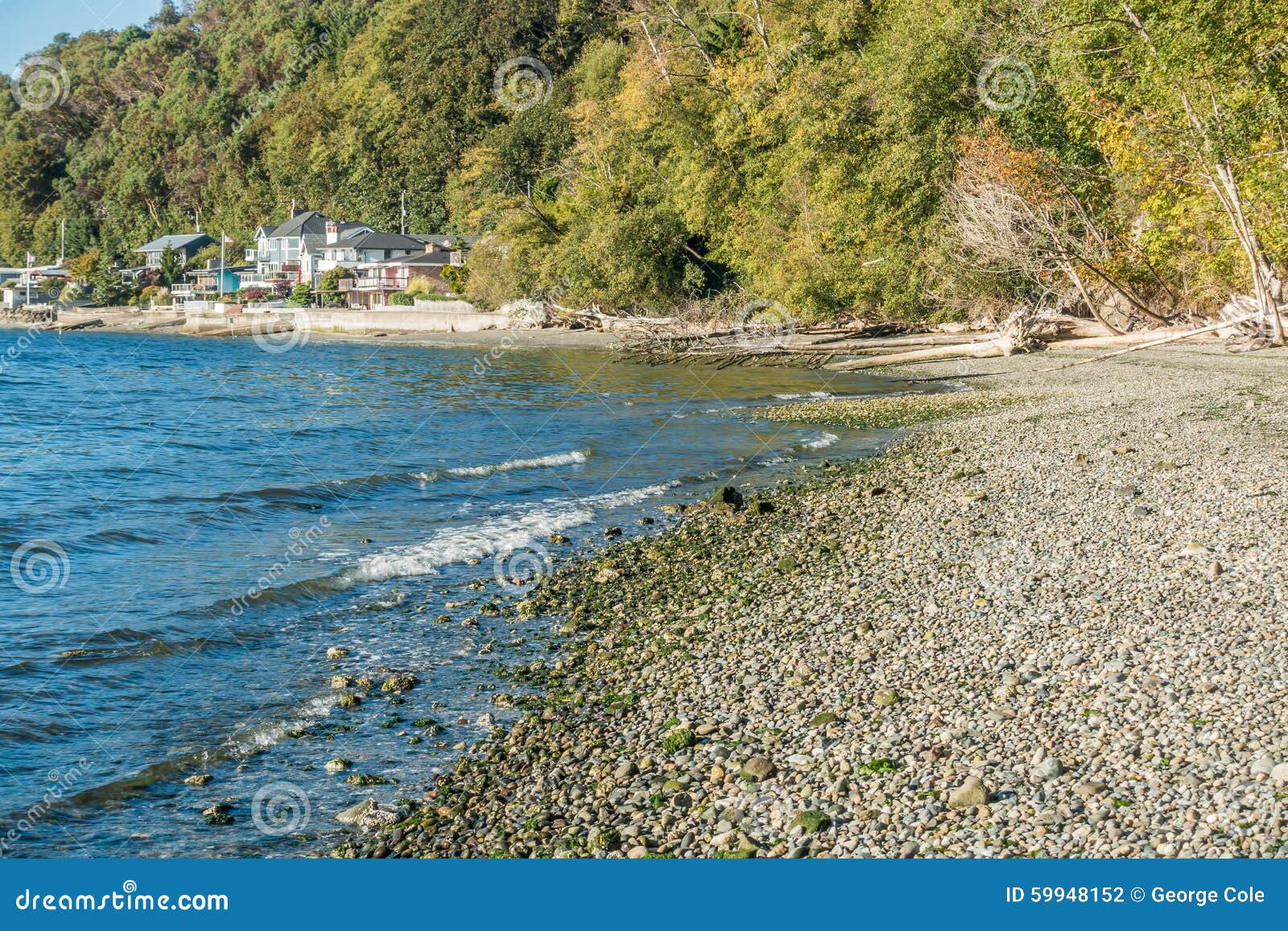 Casas da praia de Seahurst foto de stock. Imagem de costa - 59948152