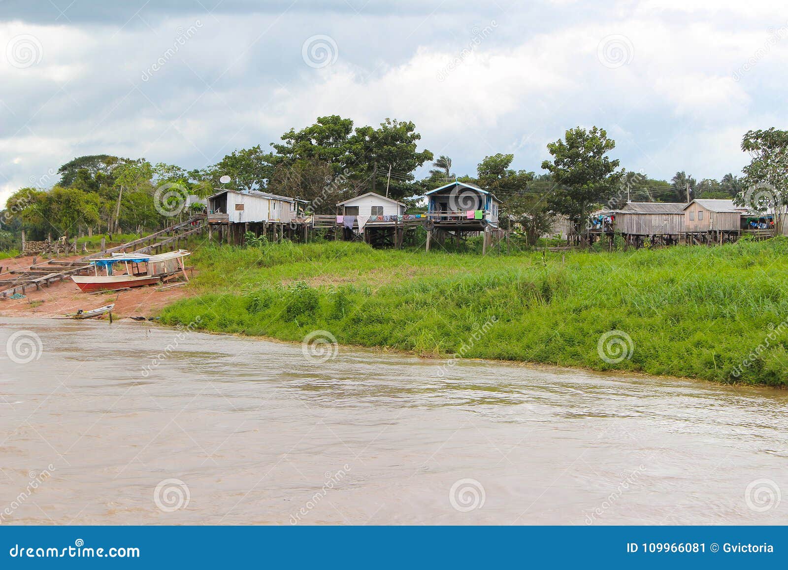 Casas Do Rio Amazonas Em Pernas De Pau Em Amazonas, Brasil Imagem de ...
