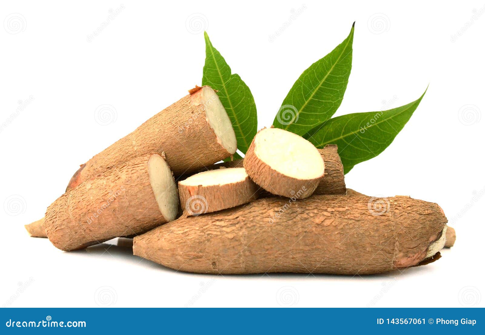 Casava. stock image. Image of graphic, print, starchy - 143567061