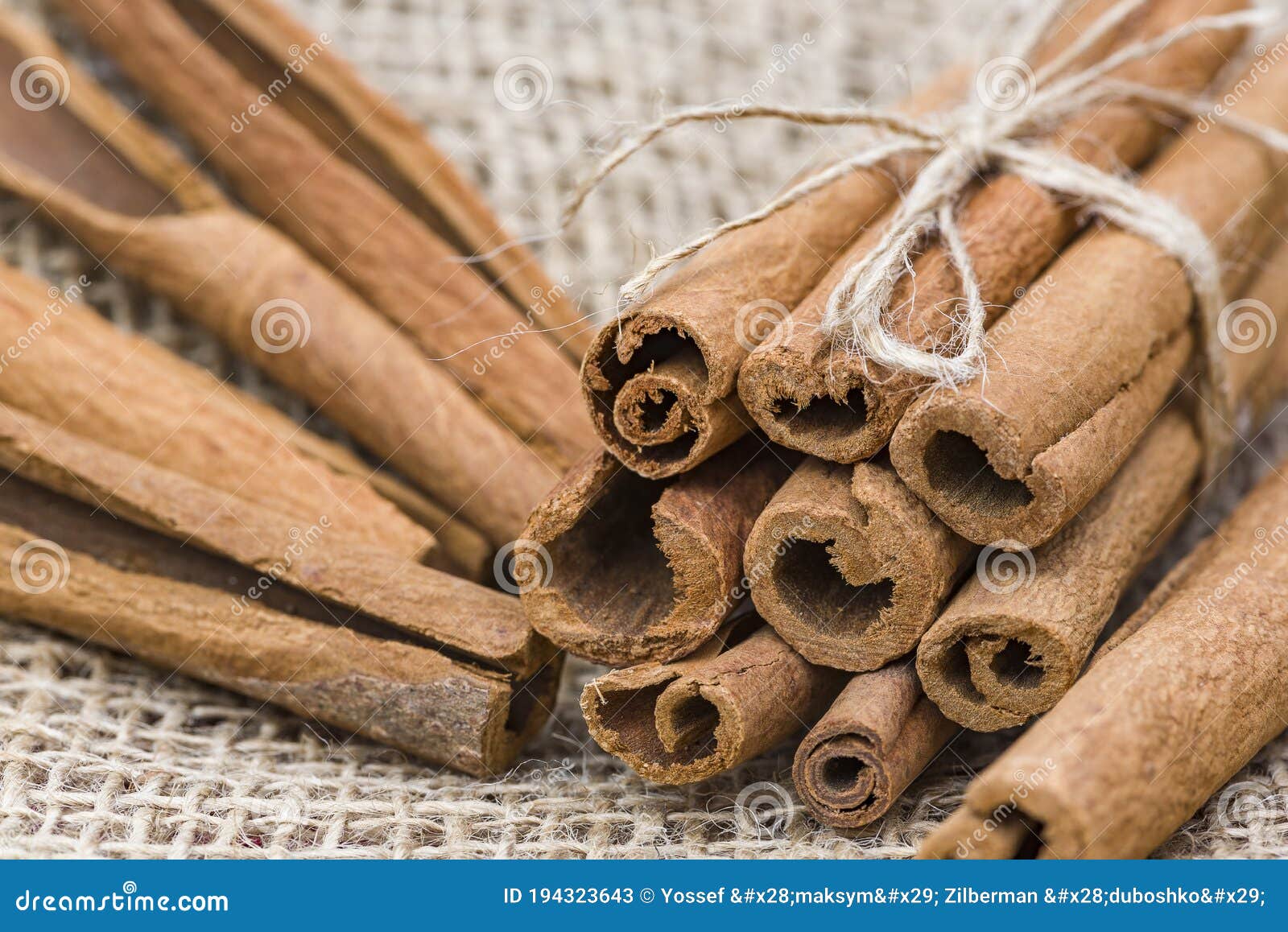 Casca De Canela Seca Amarrada Num Punhado Sobre Fundo De Burlap Imagem ...