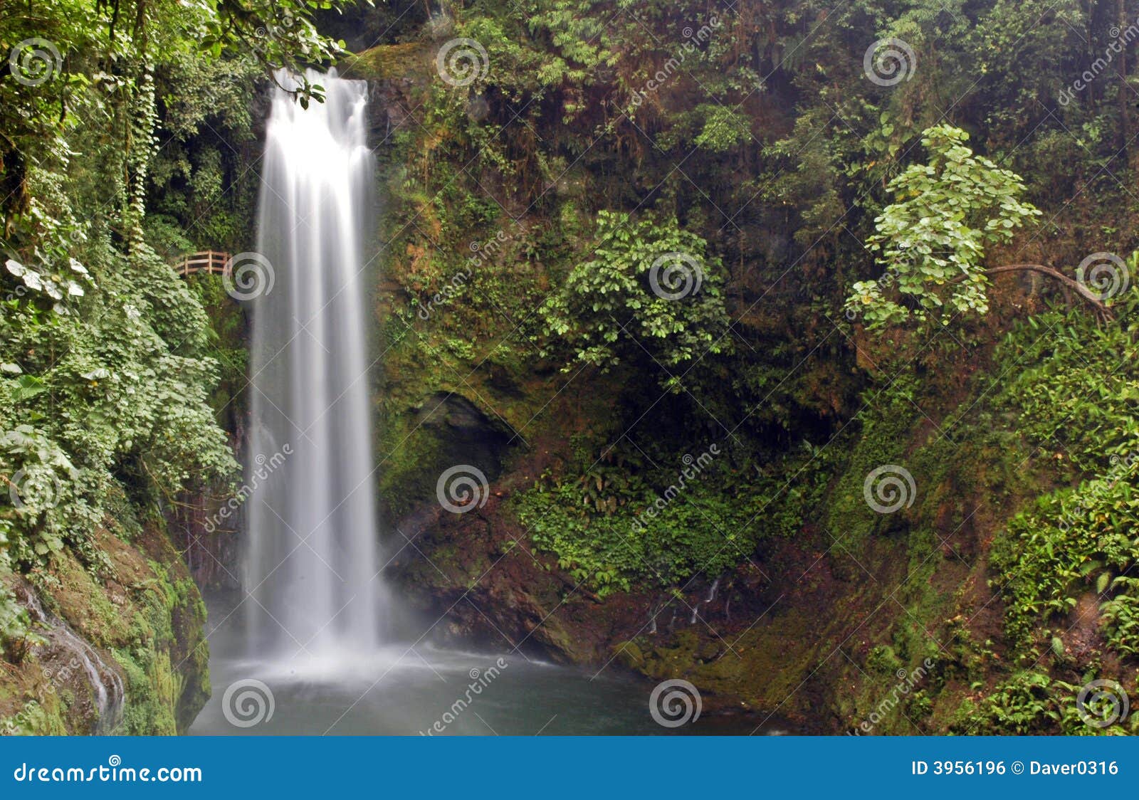 Cascada de Costa Rica foto de archivo. Imagen de tropical - 3956196
