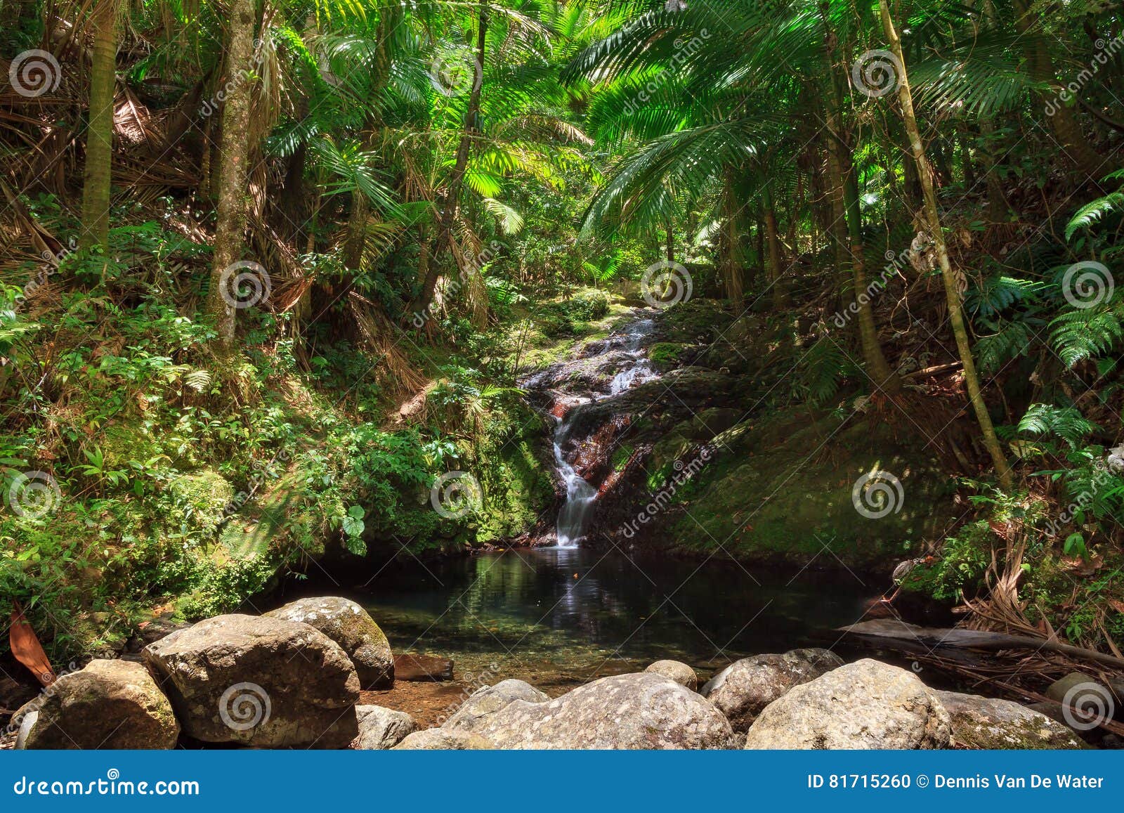Cascada De La Selva De Puerto Rico Foto de archivo - Imagen de escena ...