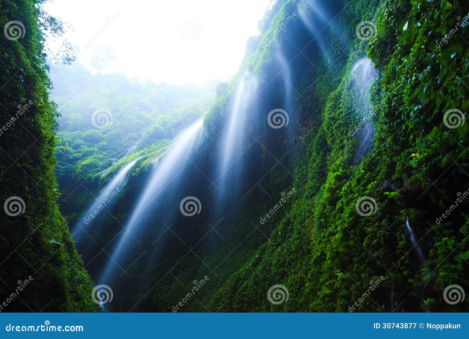 Cascada De Madakaripura, Java Oriental, Indonesia Imagen de archivo ...