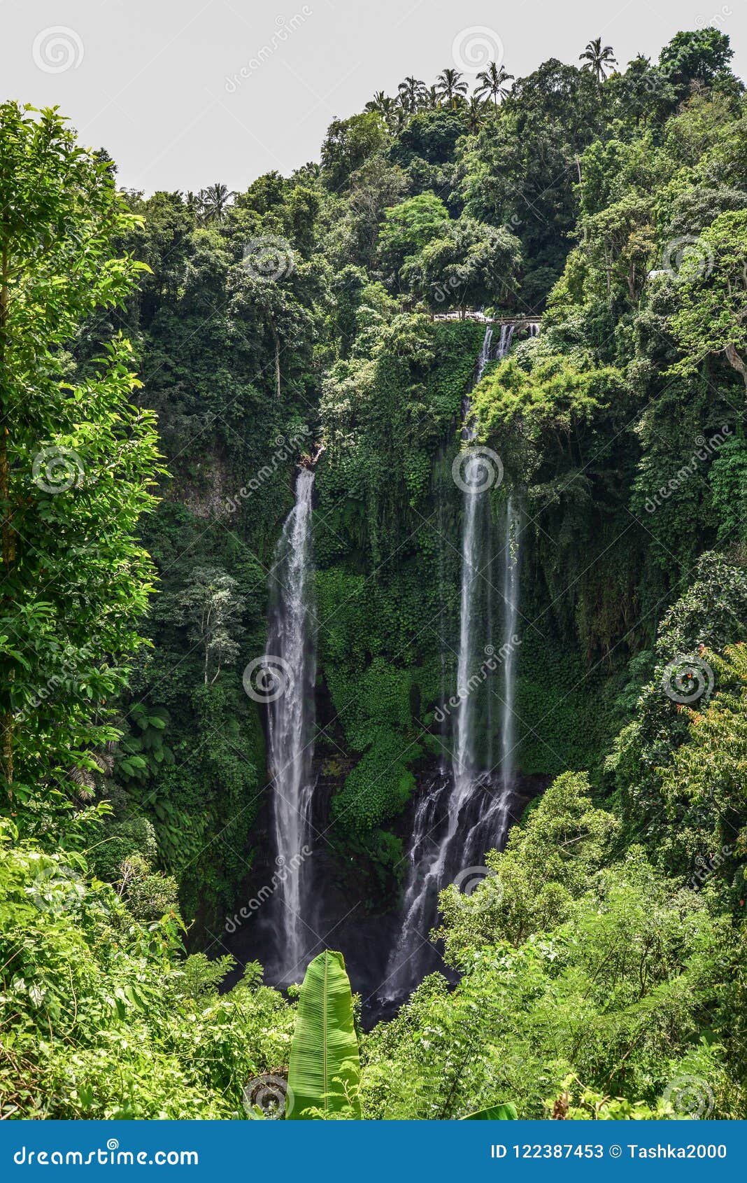 Cascada De Sekumpul En La Selva Imagen de archivo - Imagen de indonesia ...