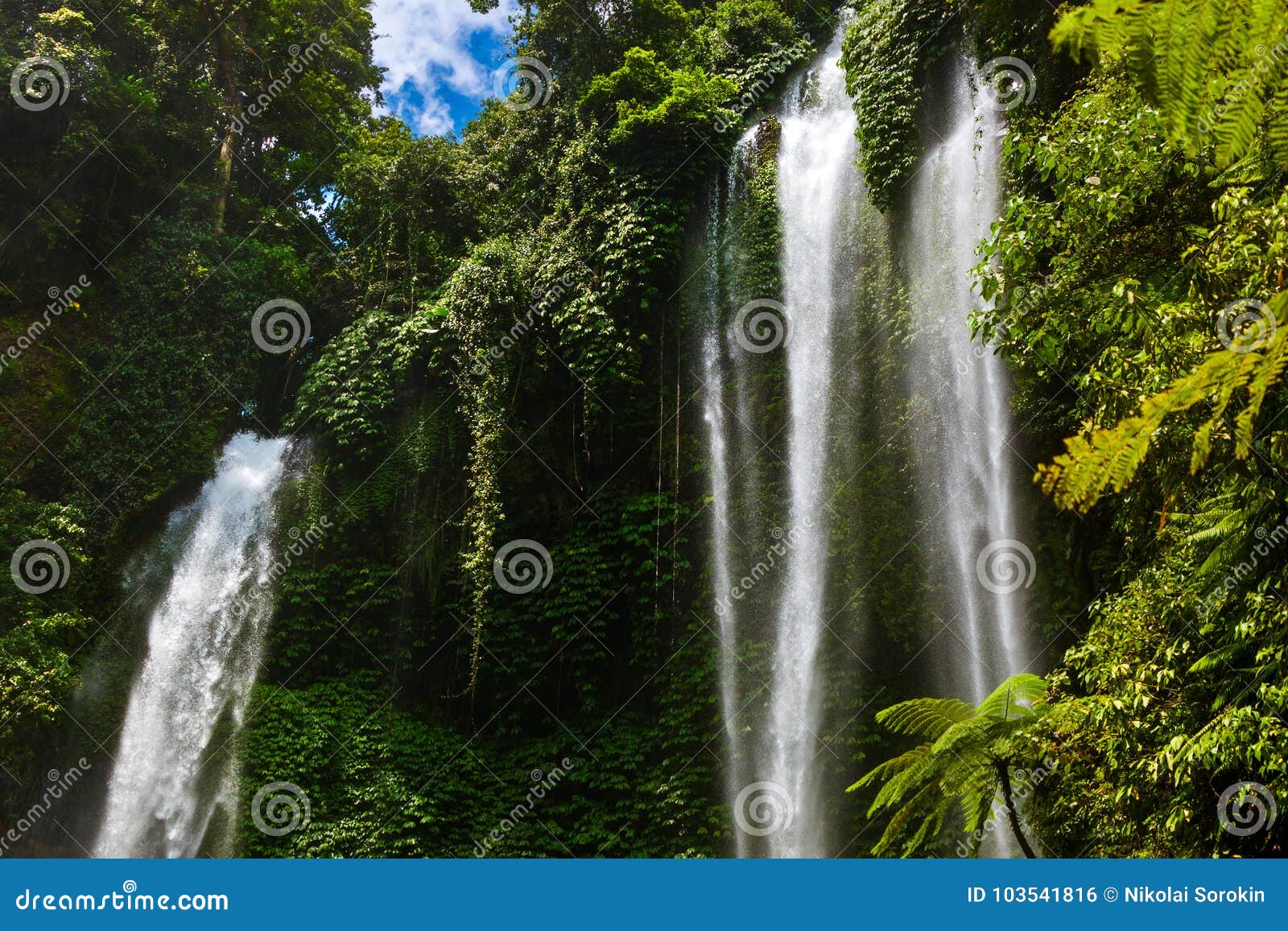 Cascada De Sekumpul - Isla Indonesia De Bali Foto de archivo - Imagen ...