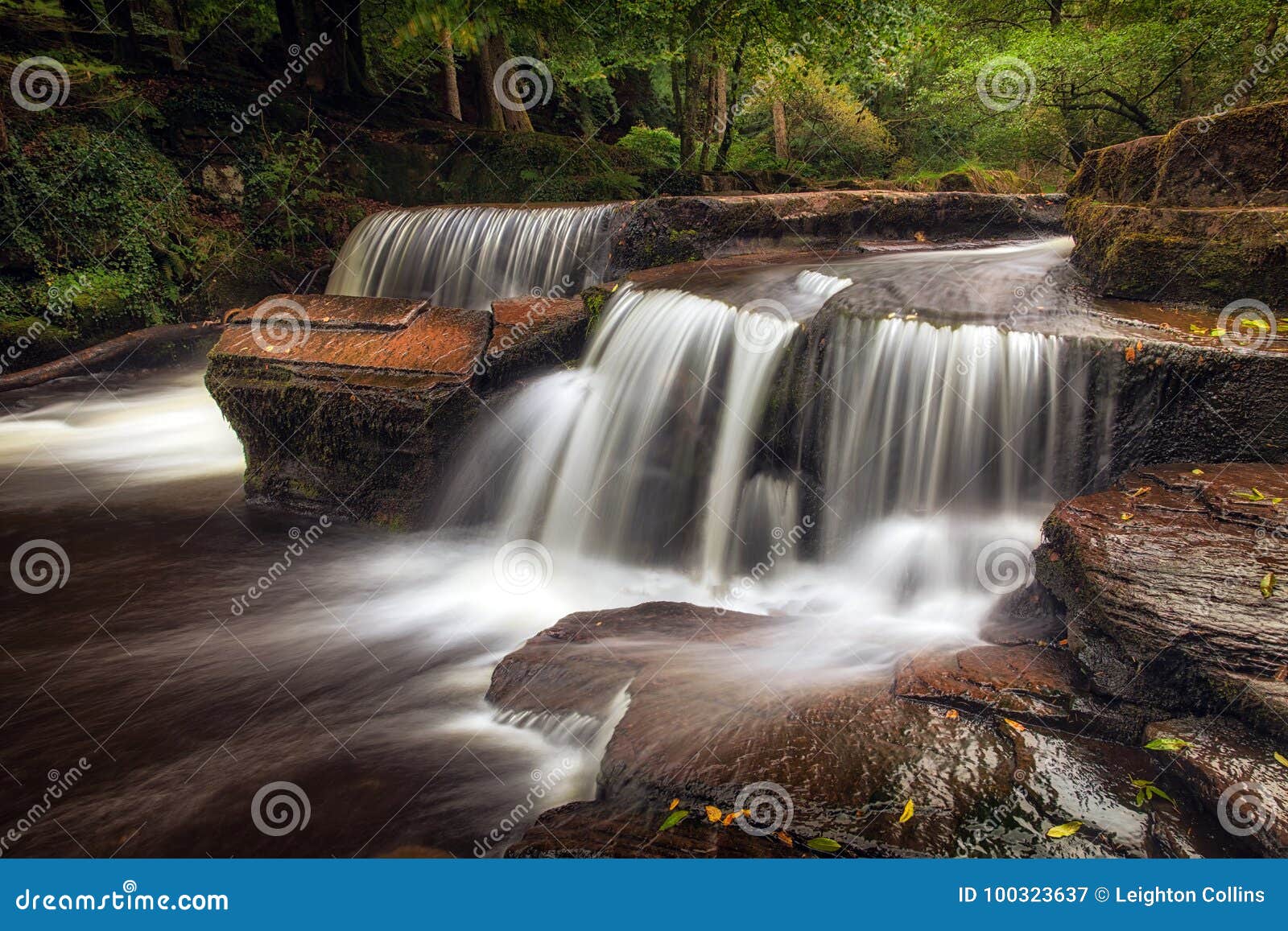 Cascada Del Bosque De Taf Fechan Imagen de archivo - Imagen de faros ...