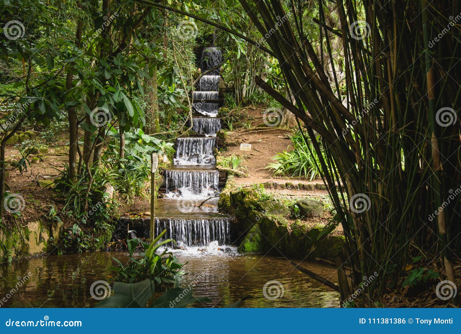 Cascada en Rio de Janeiro foto de archivo. Imagen de parque - 111381386