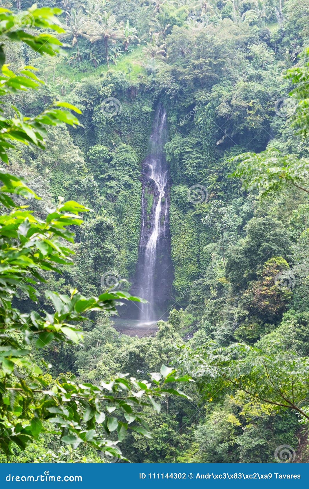 Cascada Hermosa De Sekumpul - Bali, Indonesia Foto de archivo - Imagen ...