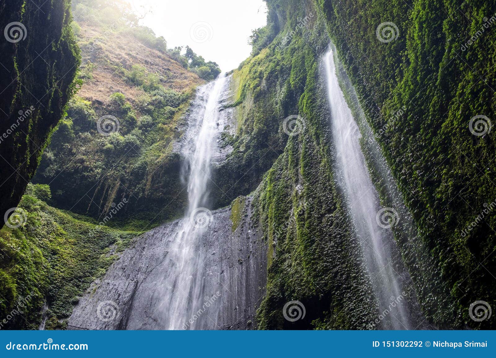 Cascada Java Oriental, IndonesiaIndonesia De Madakaripura Foto de ...