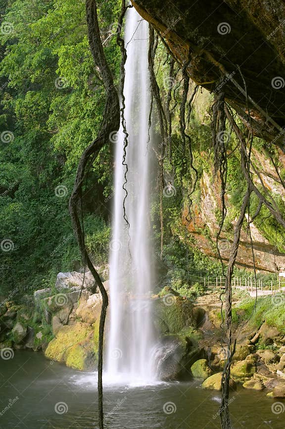 Cascada (waterfall) Misol Ha Stock Image - Image of fall, lake: 884961