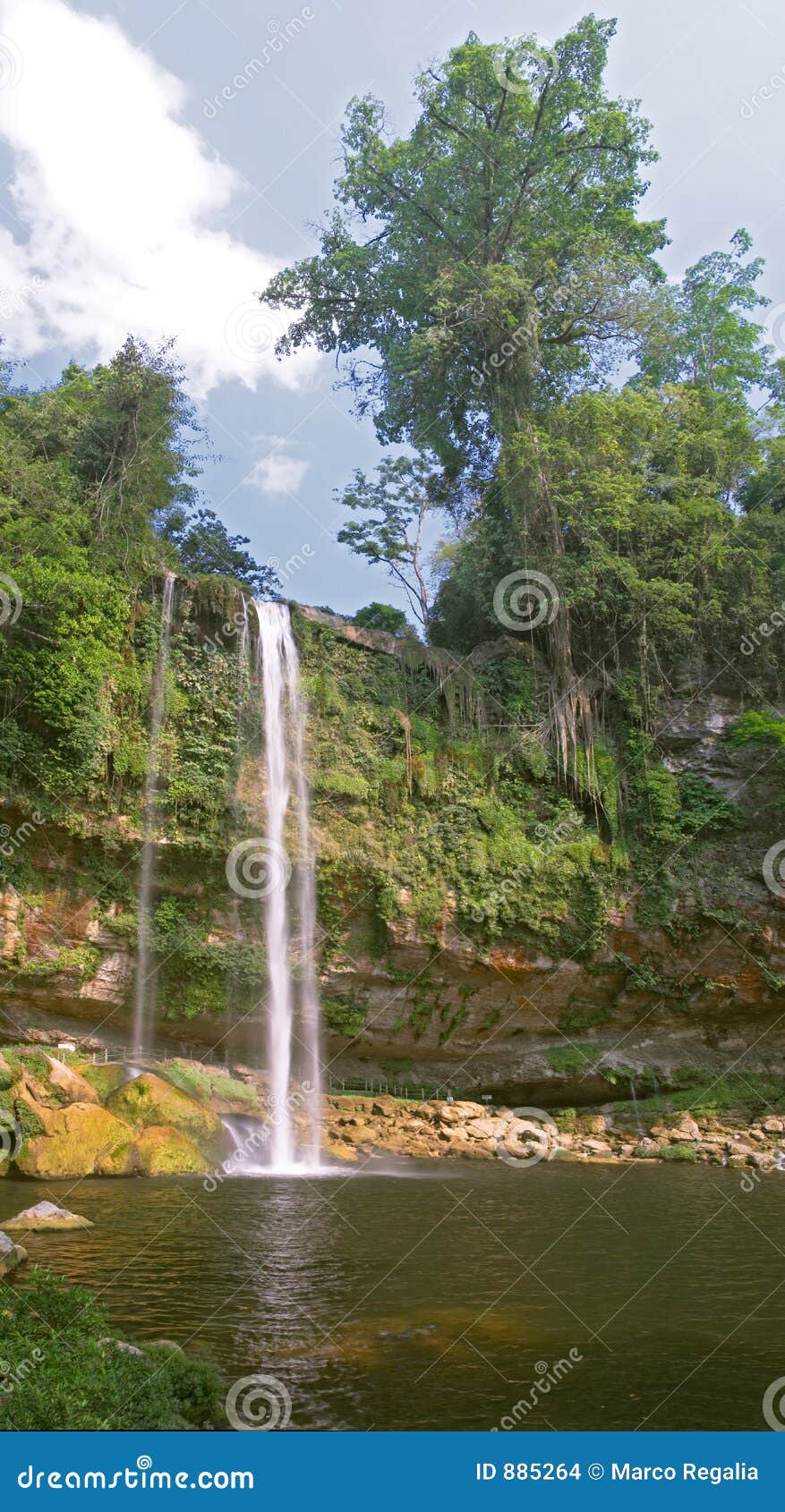 Cascada (waterfall) Misol Ha Stock Photo - Image of jungle, panorama ...