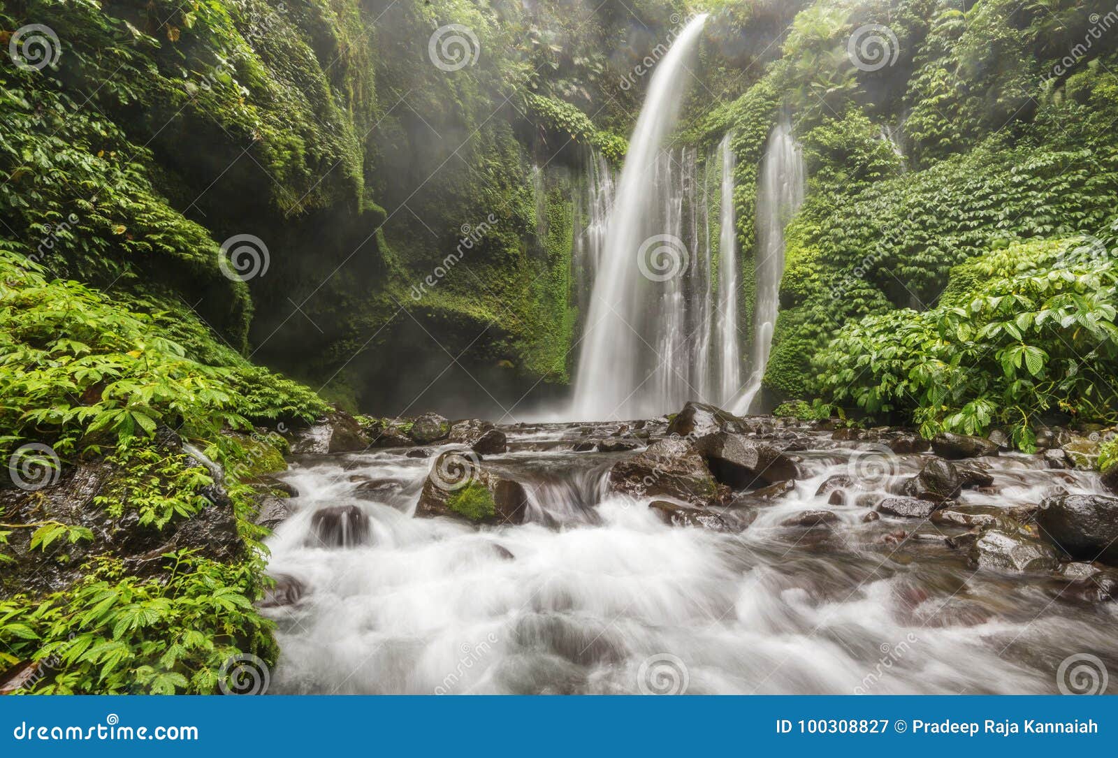 Cascadas De La Selva De Sendang Gile Imagen de archivo - Imagen de ...