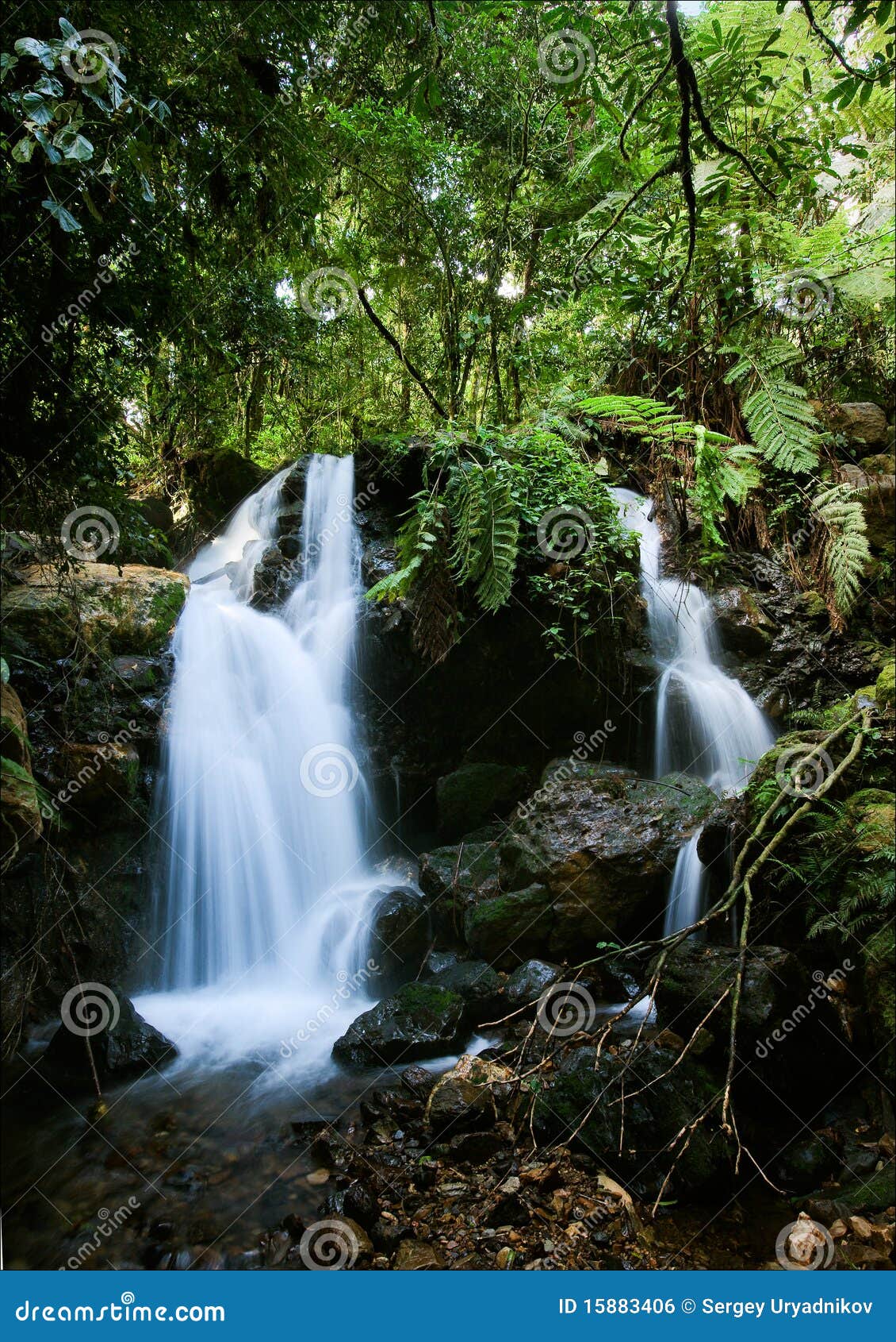 Cascadas Del Bosque De Bwindi. 2 Foto de archivo - Imagen de apacible ...
