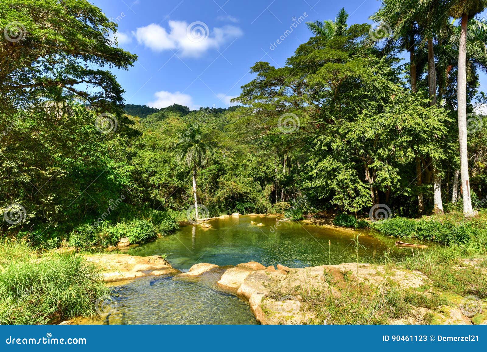 Cascadas Del EL Nicho En Cuba Imagen de archivo - Imagen de selva ...