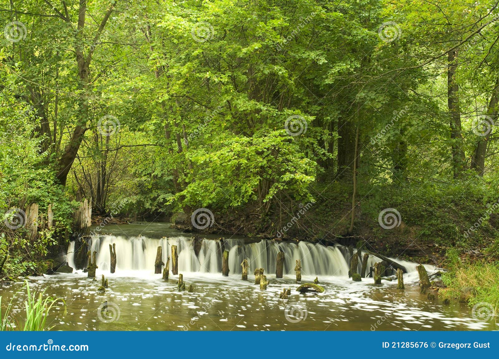 Cascade stock photo. Image of landscape, pond, outdoor - 21285676
