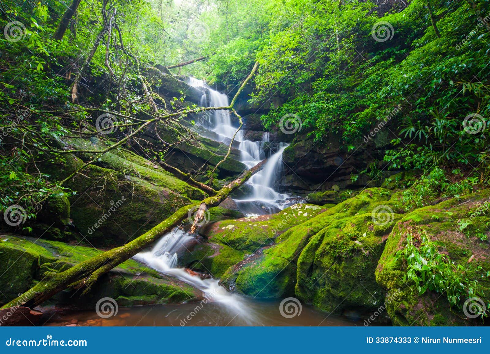 Cascade Avec De La Mousse Verte. Image stock - Image du abondant ...