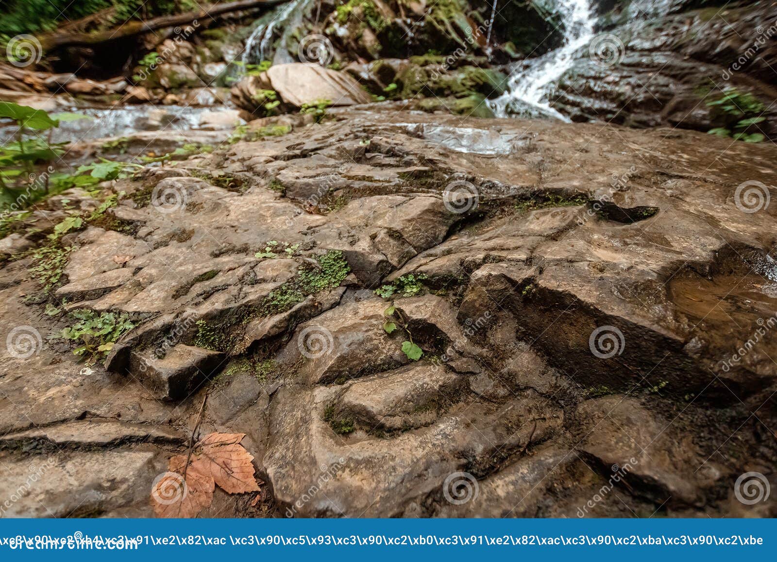 The Cascade of a Cold River Waterfall Falls on Stones, Cascades on a ...