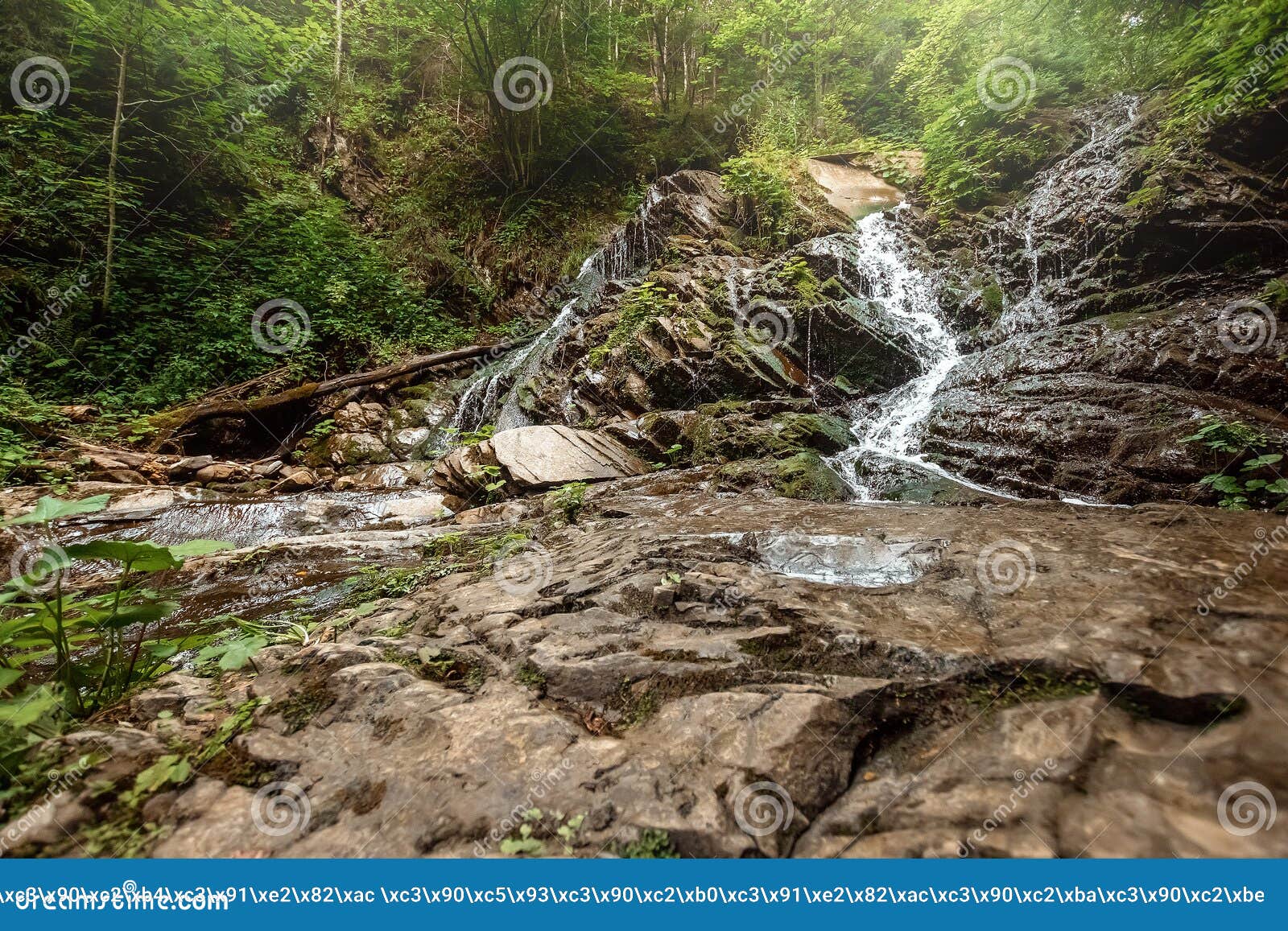 The Cascade of a Cold River Waterfall Falls on Stones, Cascades on a ...