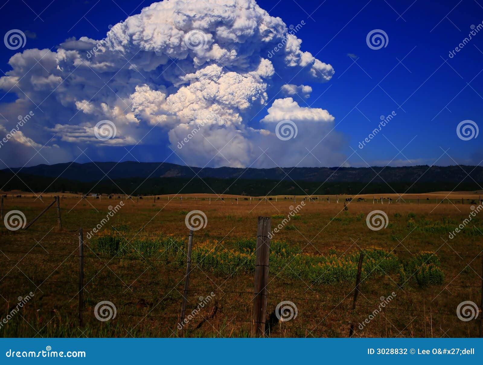 Cascade Complex Fire stock photo. Image of fire, catastrophe - 3028832