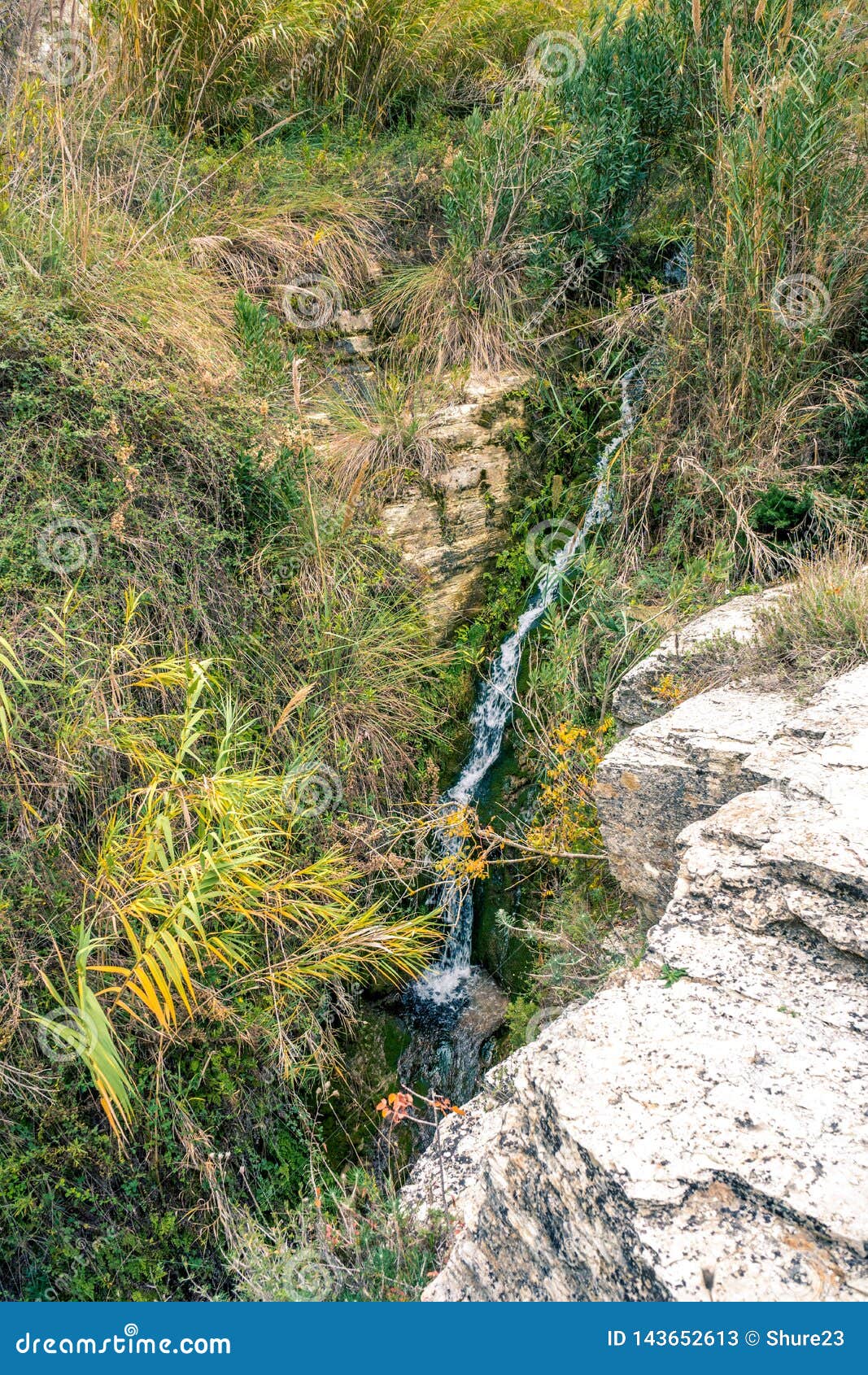 Cascade De Bain D'Adonis Sur La Chypre Image stock - Image du nature ...