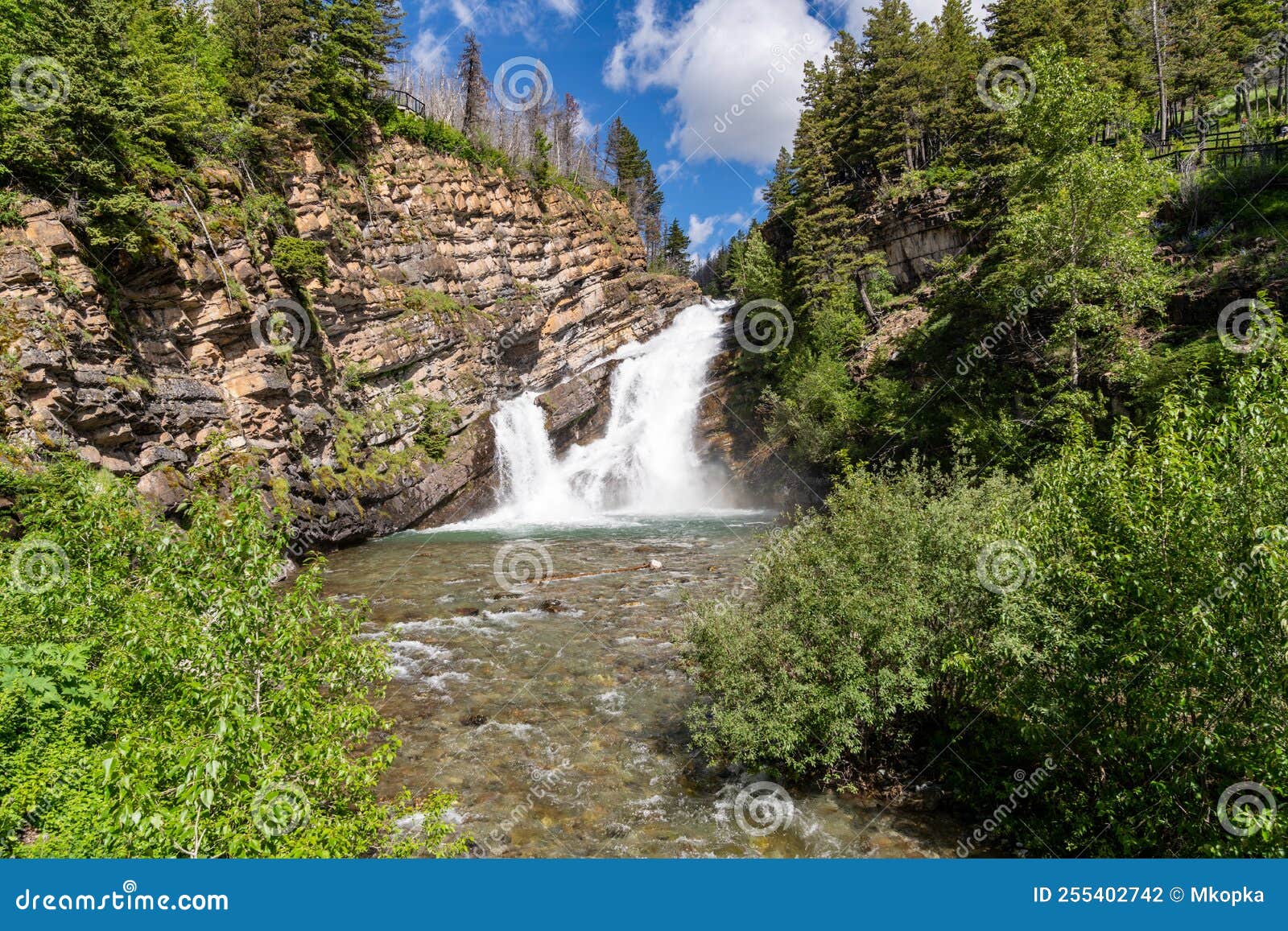 Cascade De Cameron Lac Waterton Parc National Du Canada Photo stock ...
