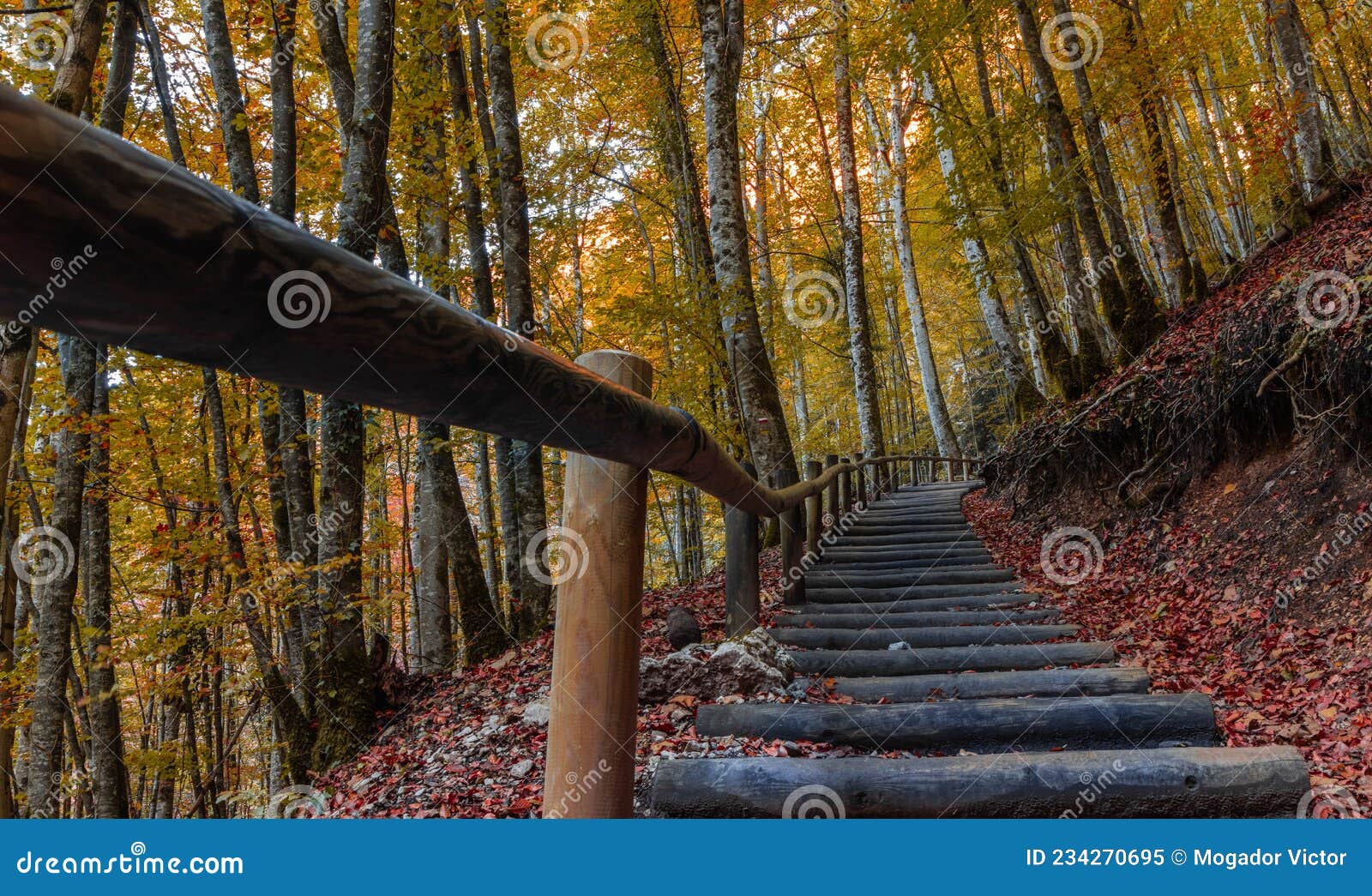 Cascade du HÃ©risson stock image. Image of wood, wilderness - 234270695