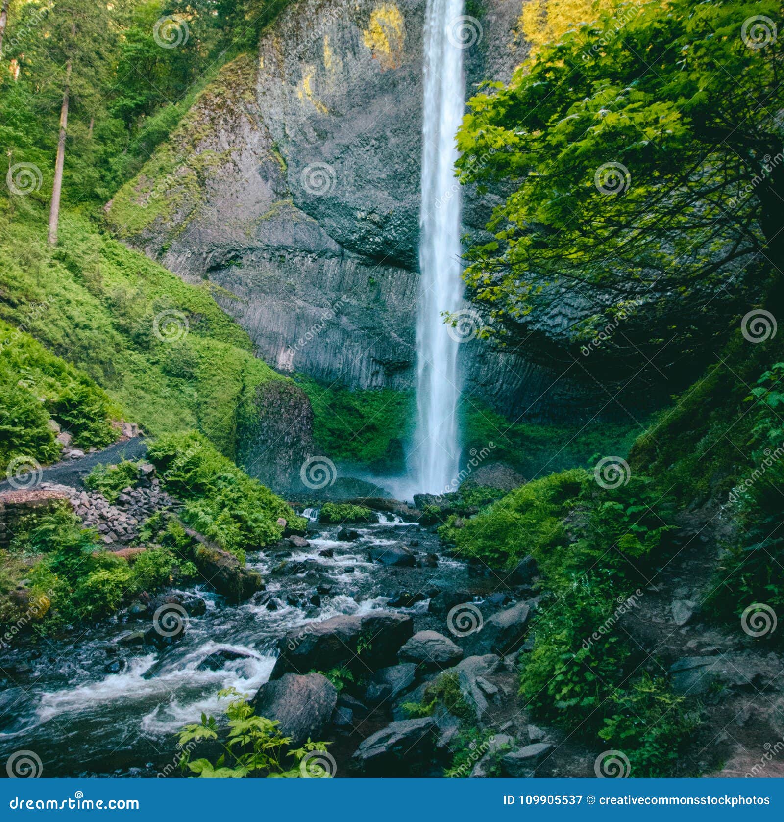 Cascade, Environment, Falls Picture. Image: 109905537