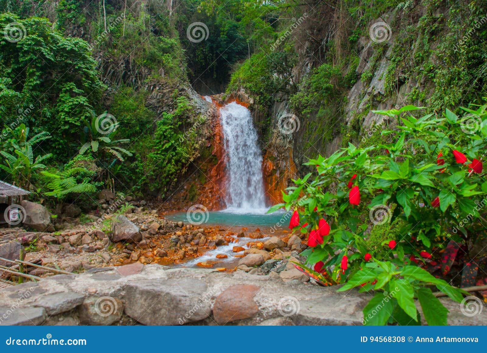 Cascade Et Fleurs Rouges, Philippines Valence, île Negros Photo stock ...