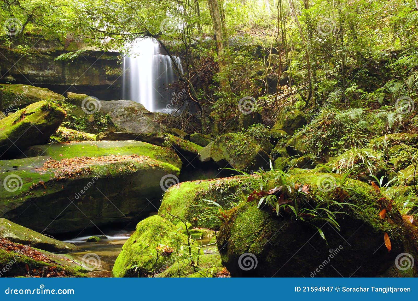 Cascade Falls Over Mossy Rocks. Stock Image - Image of rain, moist ...