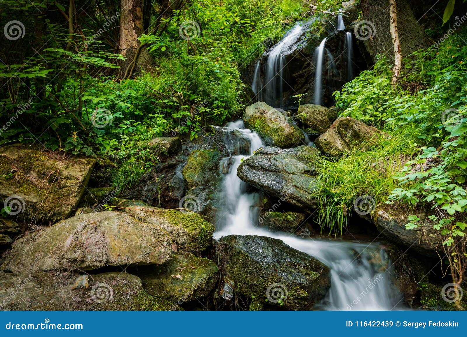 Cascade Falls Over Mossy Rocks Stock Image - Image of moss, outdoor ...