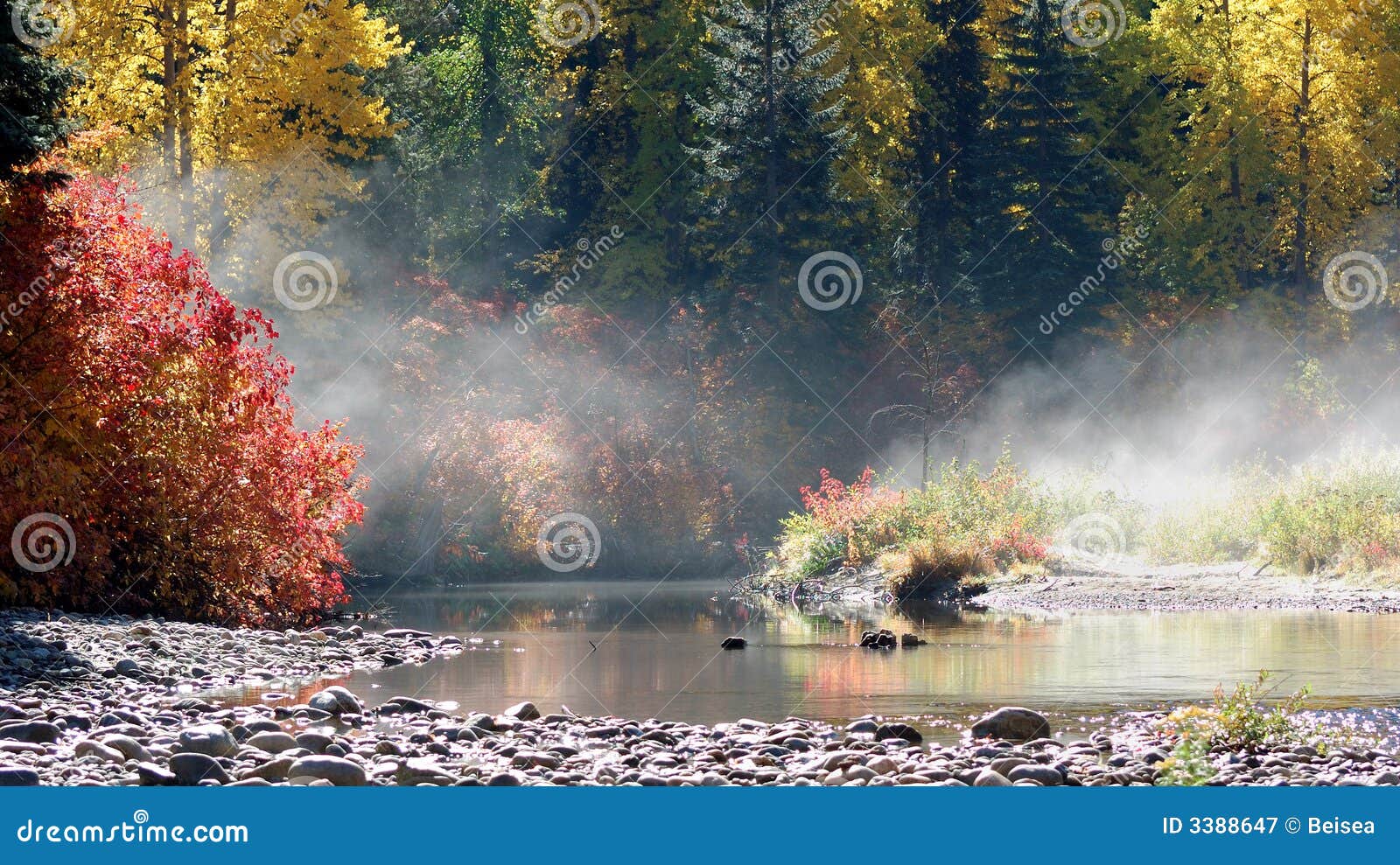 Cascade Foothills stock image. Image of scenic, foliage - 3388647