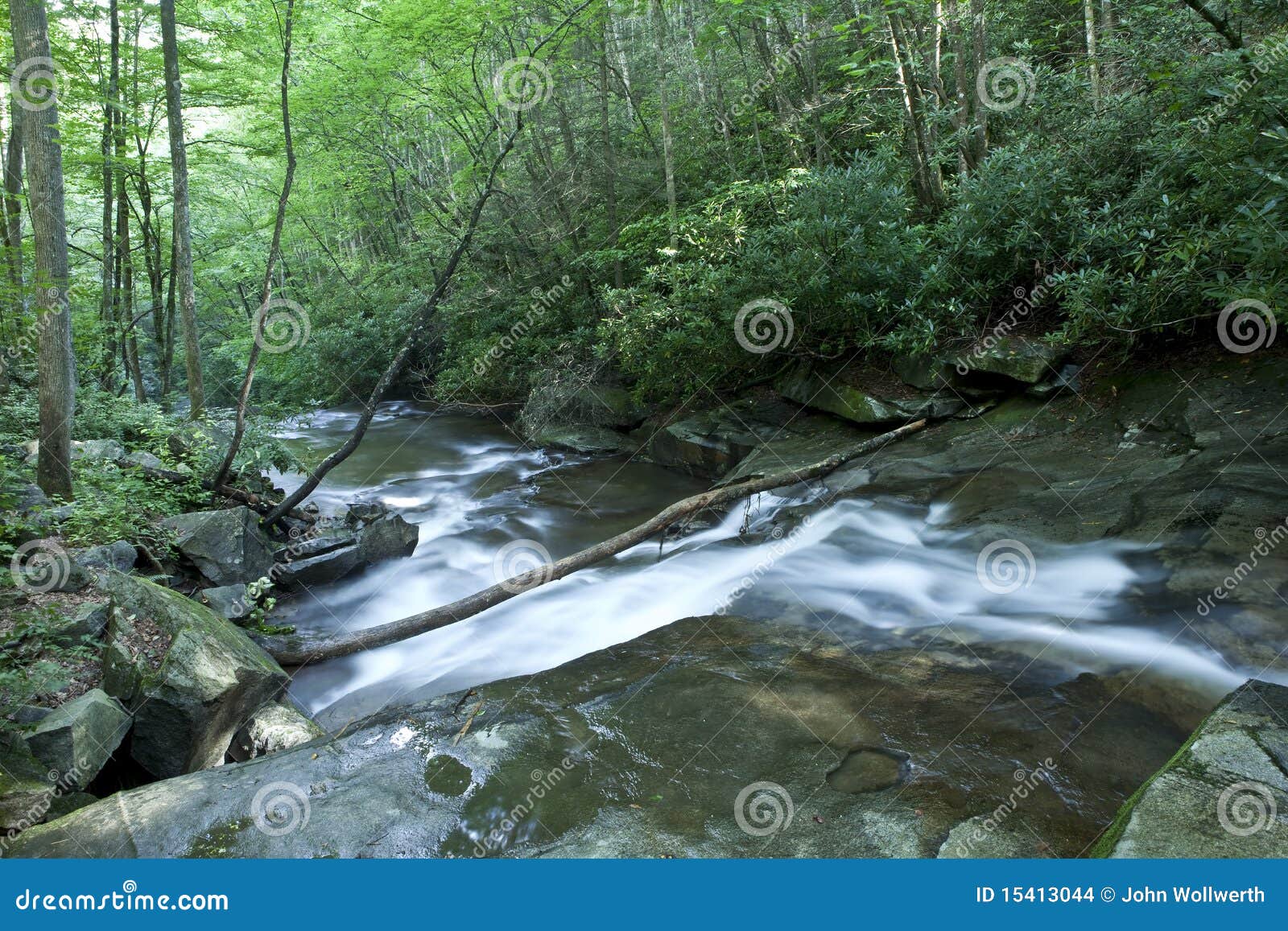 Cascade through forest stock photo. Image of fresh, nature - 15413044