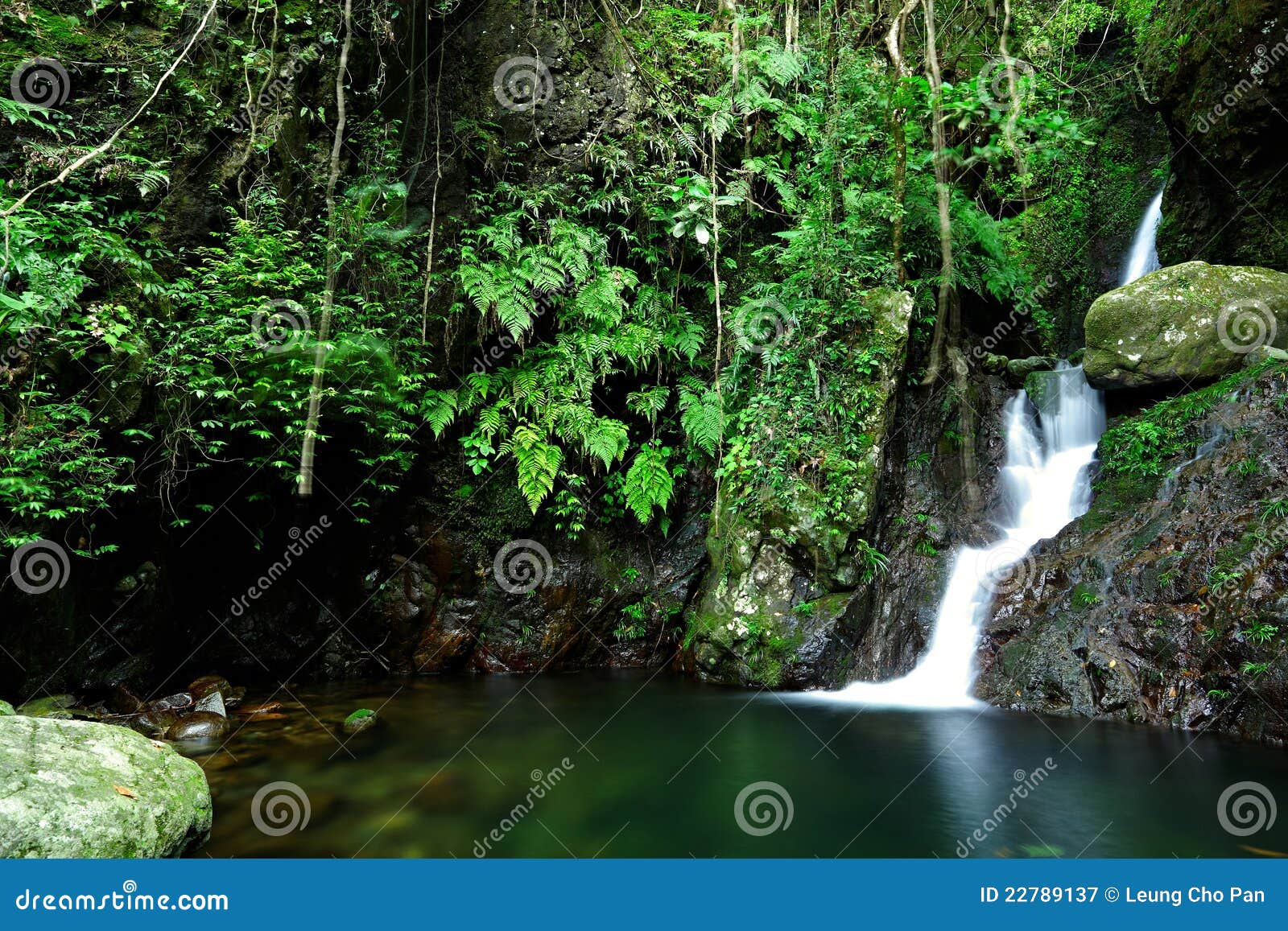 Cascade in forest stock image. Image of shine, scenery - 22789137