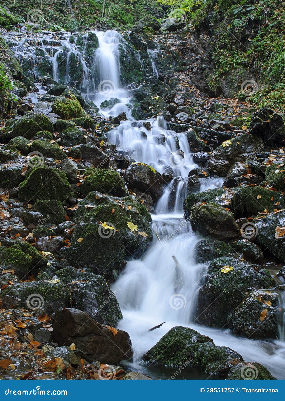 Cascade in Forest stock photo. Image of moss, green, landscape - 28551252