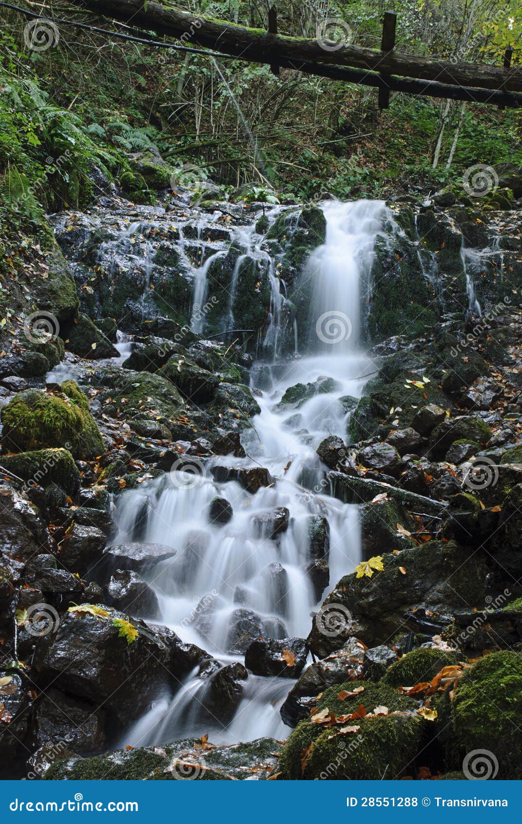 Cascade in Forest stock photo. Image of national, autumn - 28551288