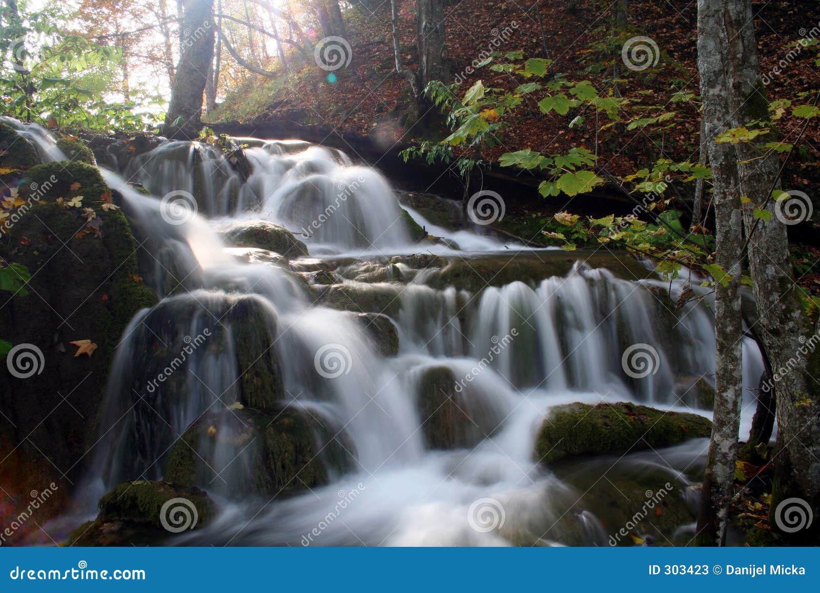 Cascade in the forest stock image. Image of trees, water - 303423