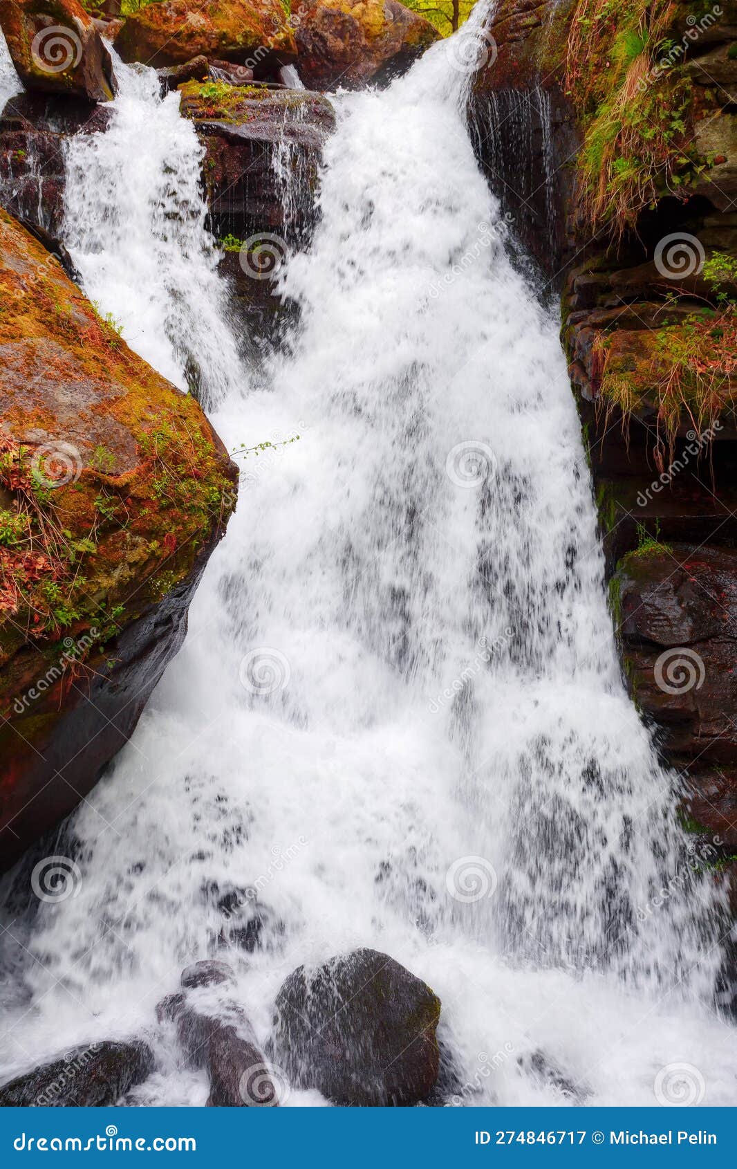 Cascade on the Forest Creek Stock Image - Image of scenic, rock: 274846717